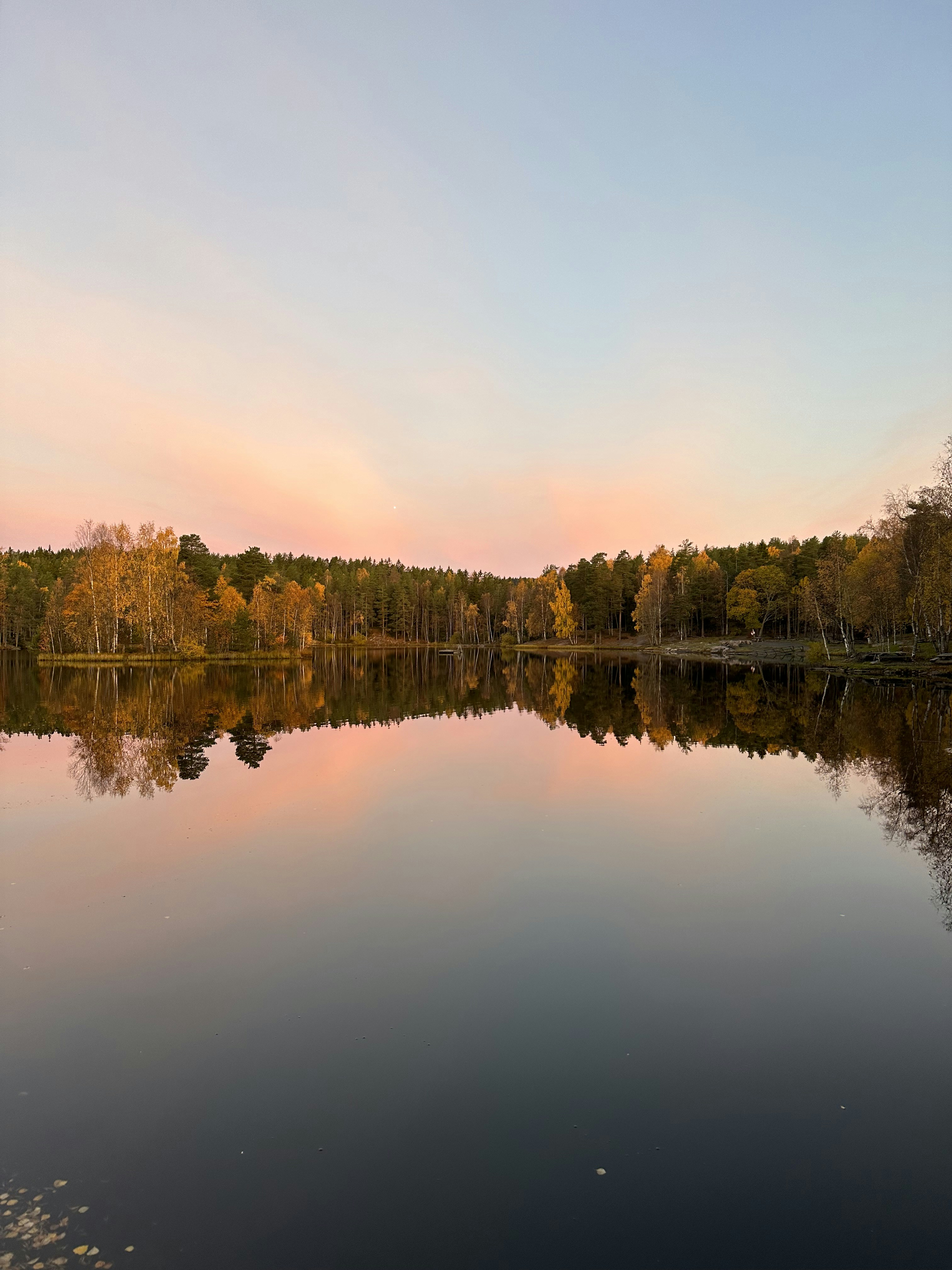 Dawn-hued lake scene with autumn trees reflecting in still water, creating a symmetrical horizon. A tranquil landscape, emphasizing the mirrored sky and forest silhouette.