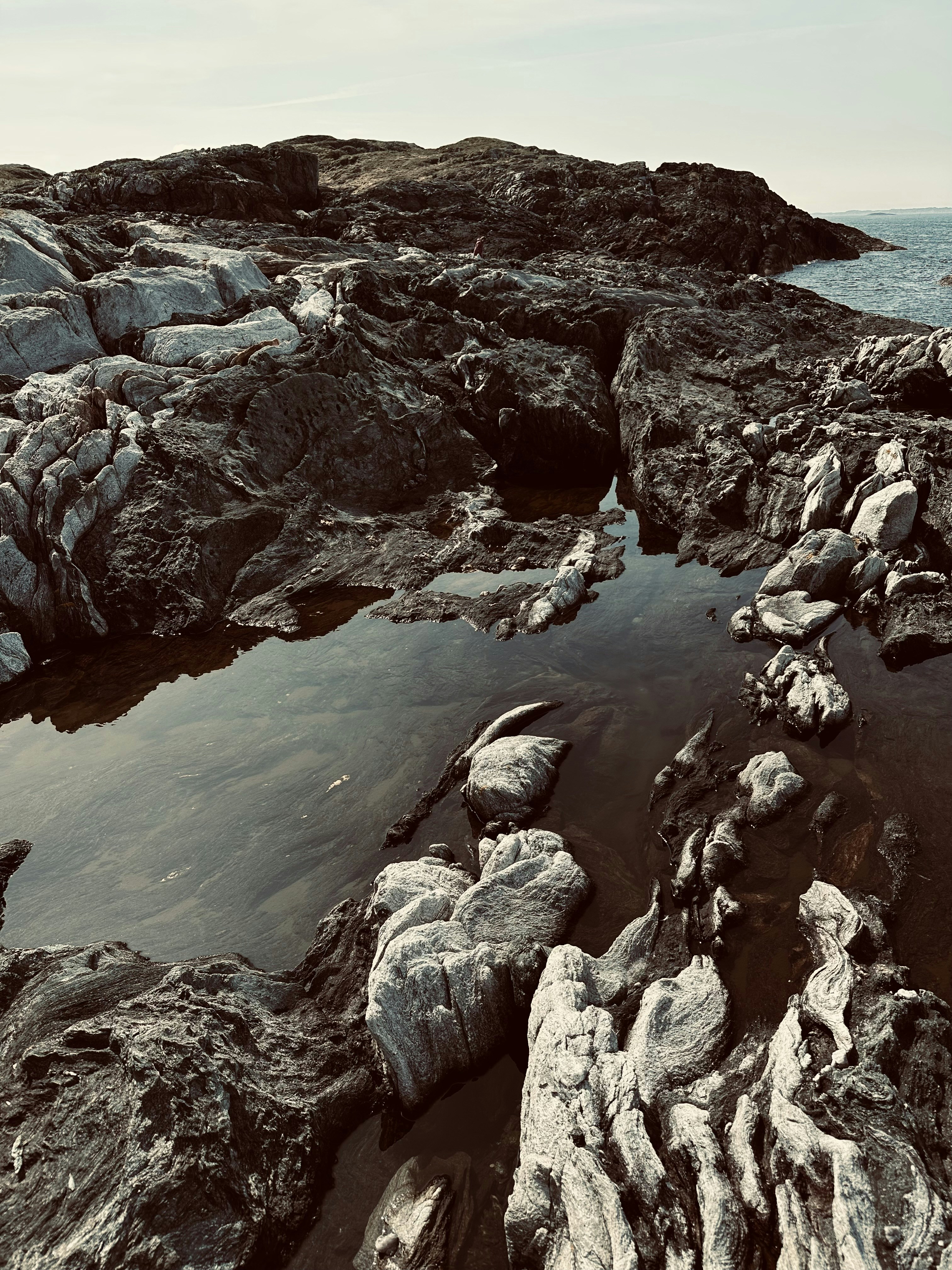 Tide-worn Ridge: A Quiet Reckoning Among Granite