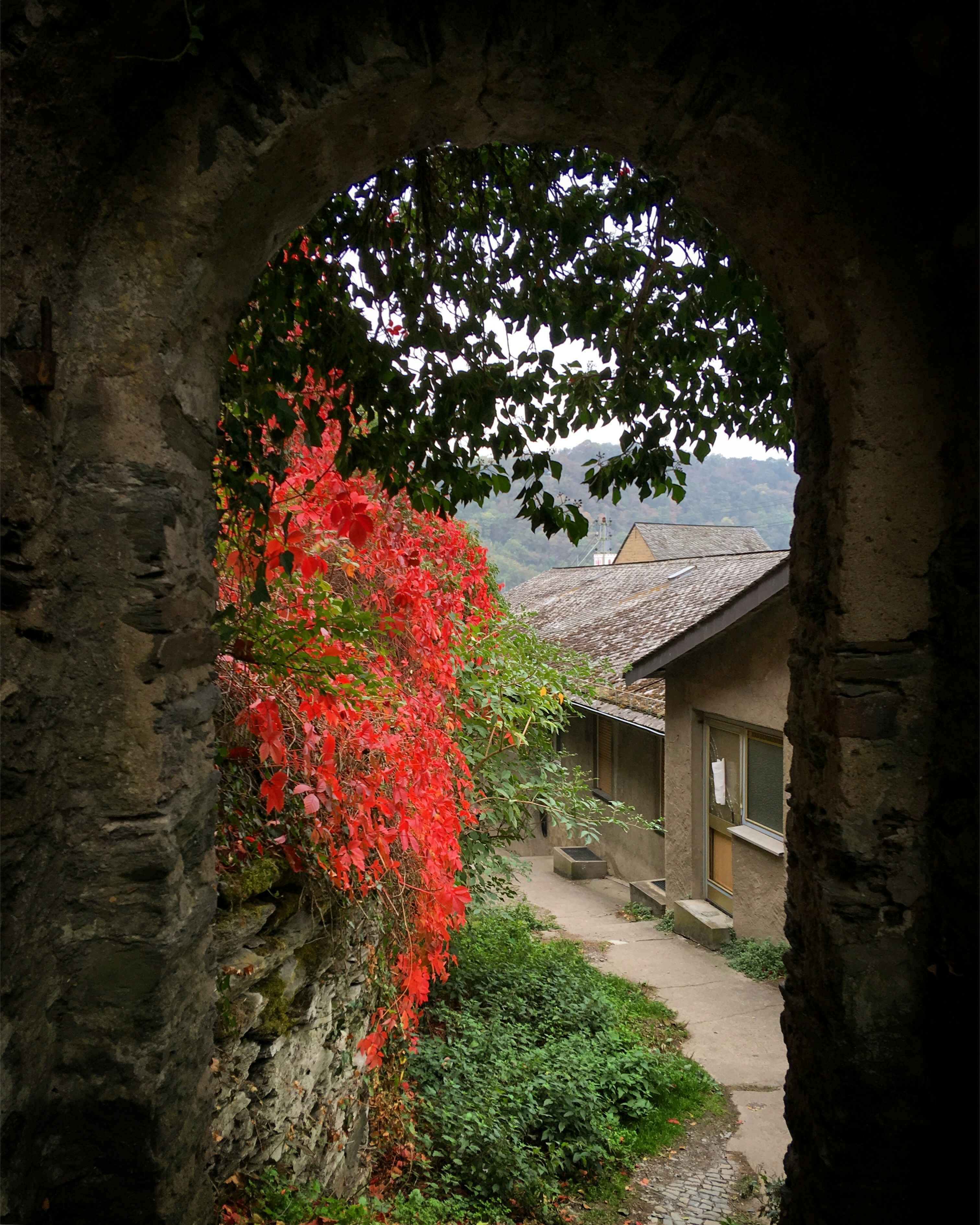 Through the Stone Arch: Red Vines and Autumn Light