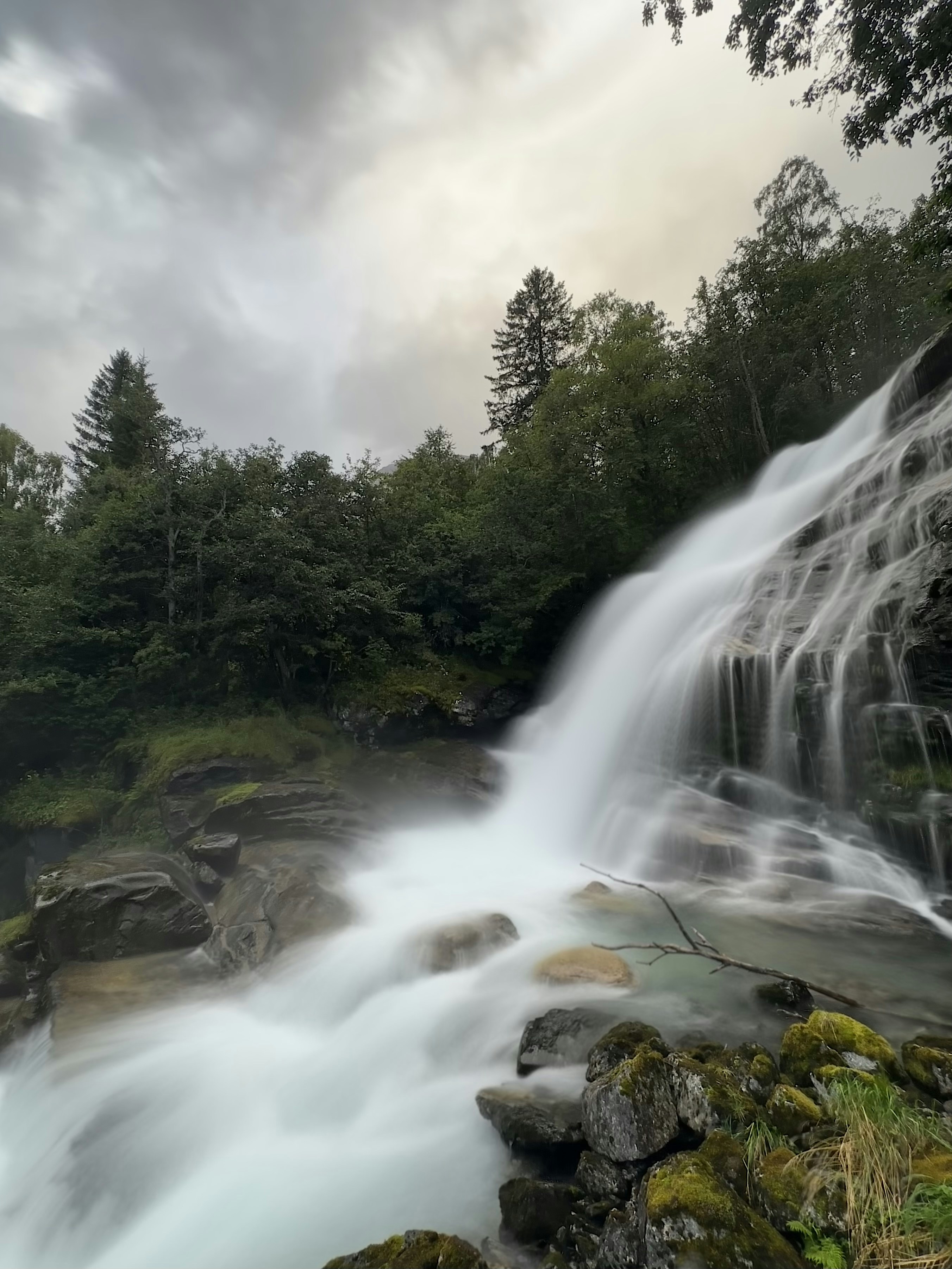 Cascade Overlook: Moonlit Waterfall Through Pines