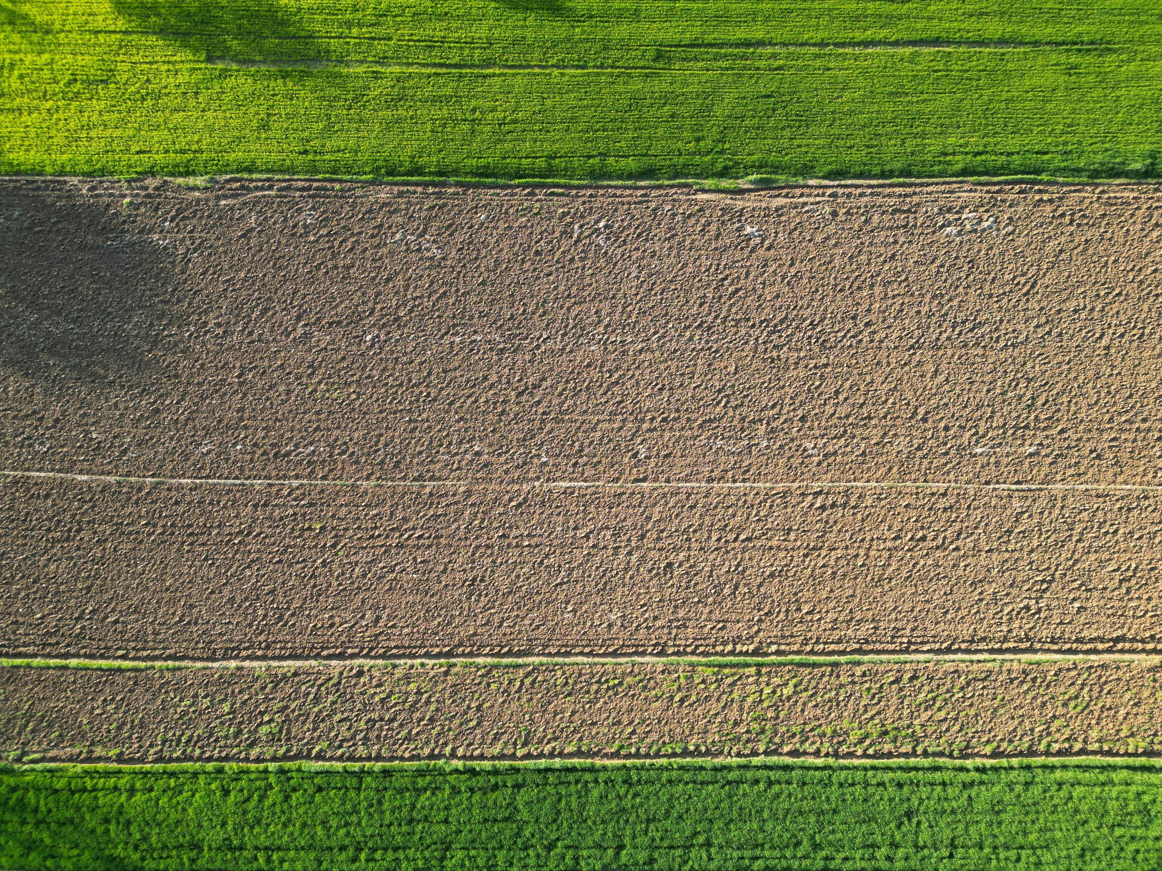 Aerial Quilt: Parallel Fields Dividing Light and Shadow