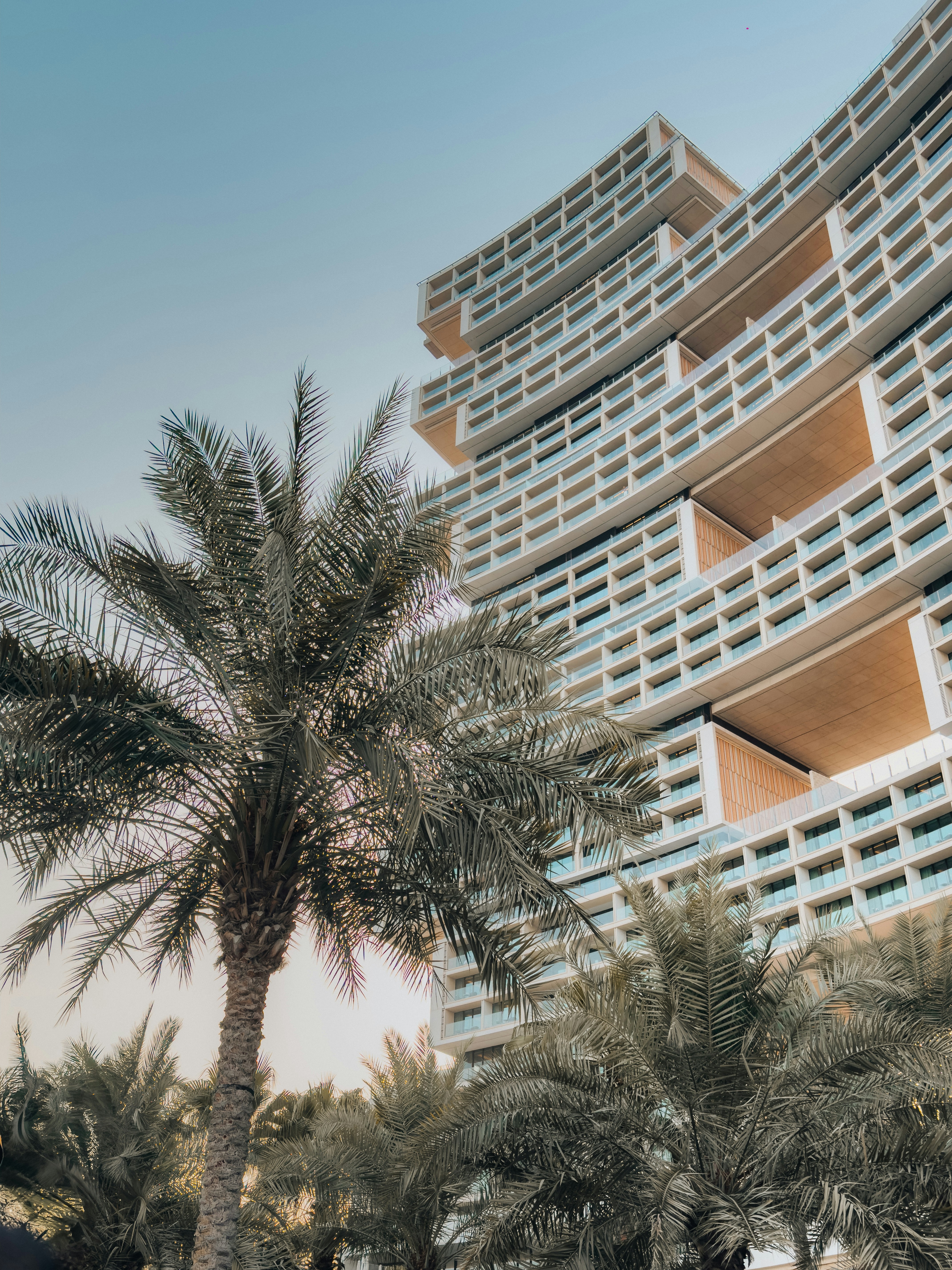 Vertical Oasis: Palm Fronds Framing a Tiered Facade