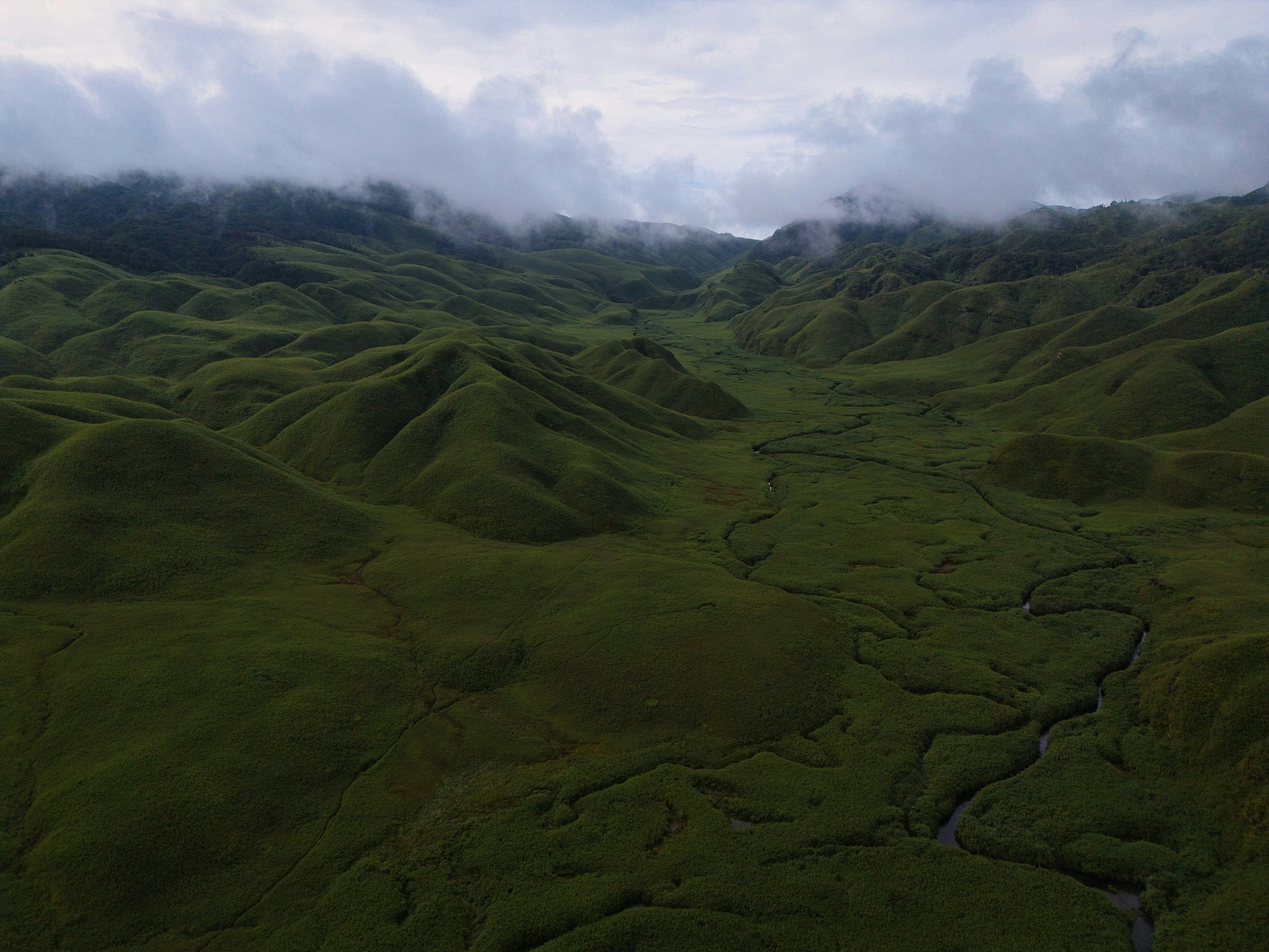 Undulating Emerald Valleys beneath a Shrouded Ridge