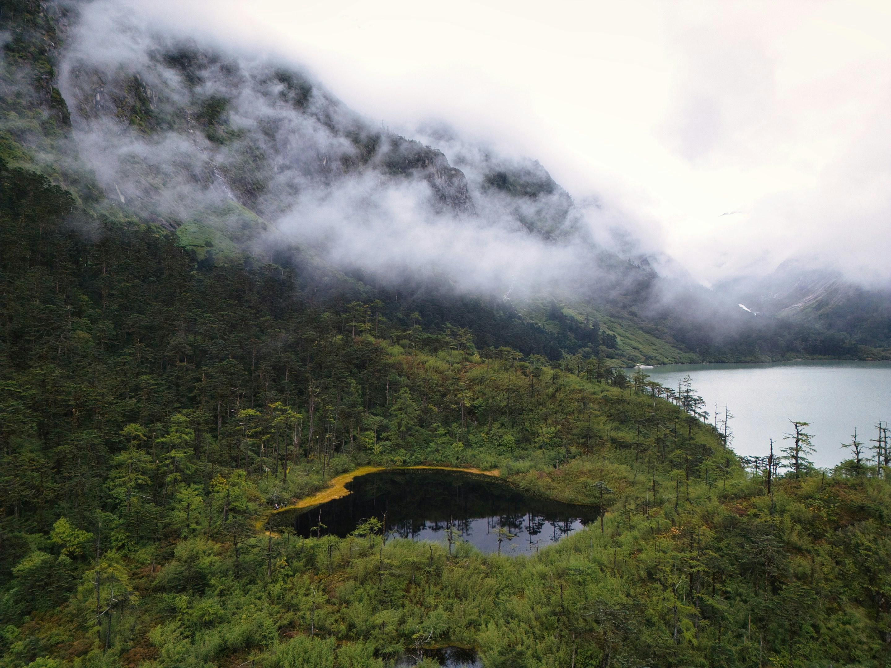 Misty overlook over a circular alpine pond amid emerald pines
