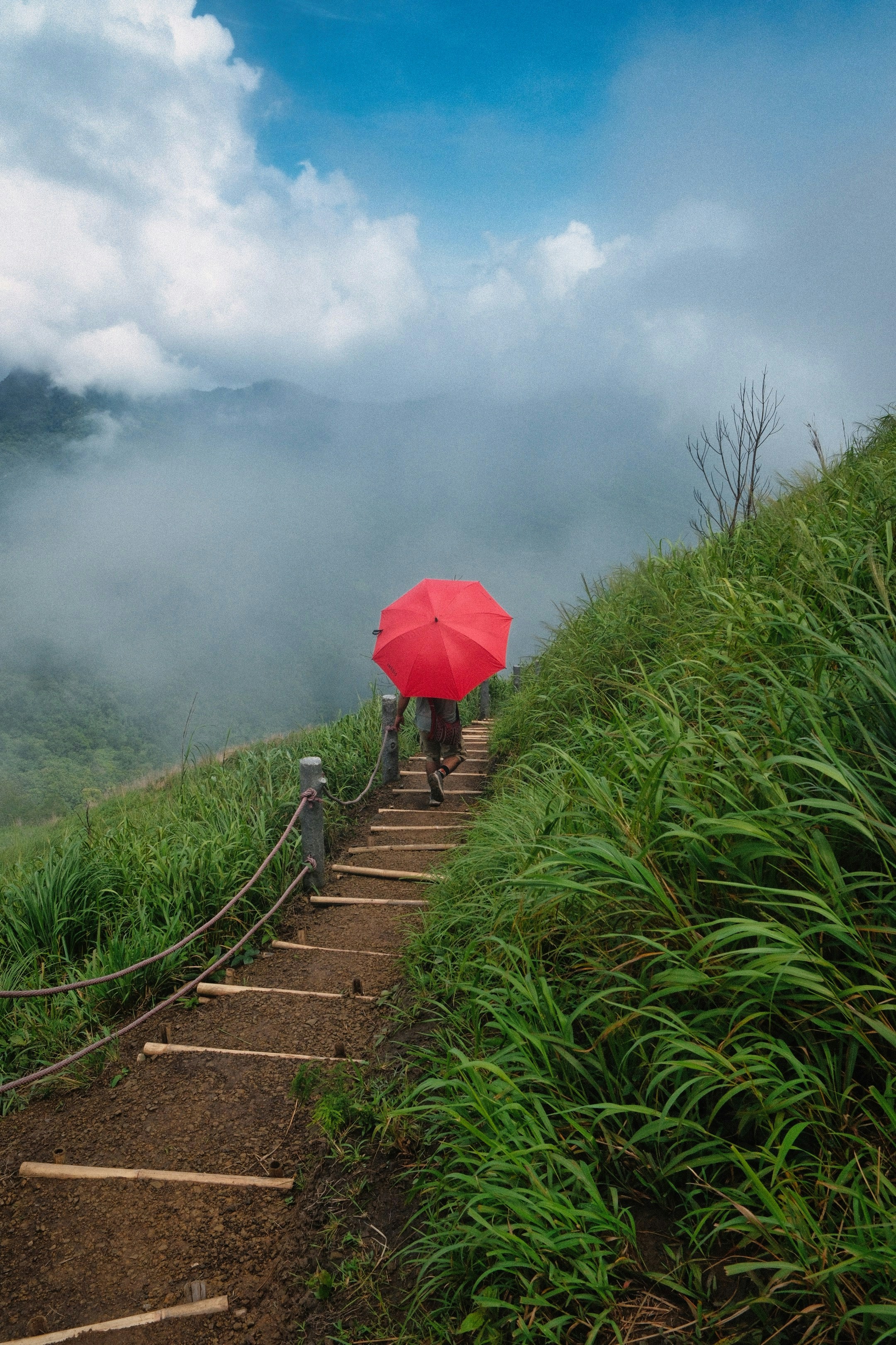 Red Umbrella on a Misty Mountain Path