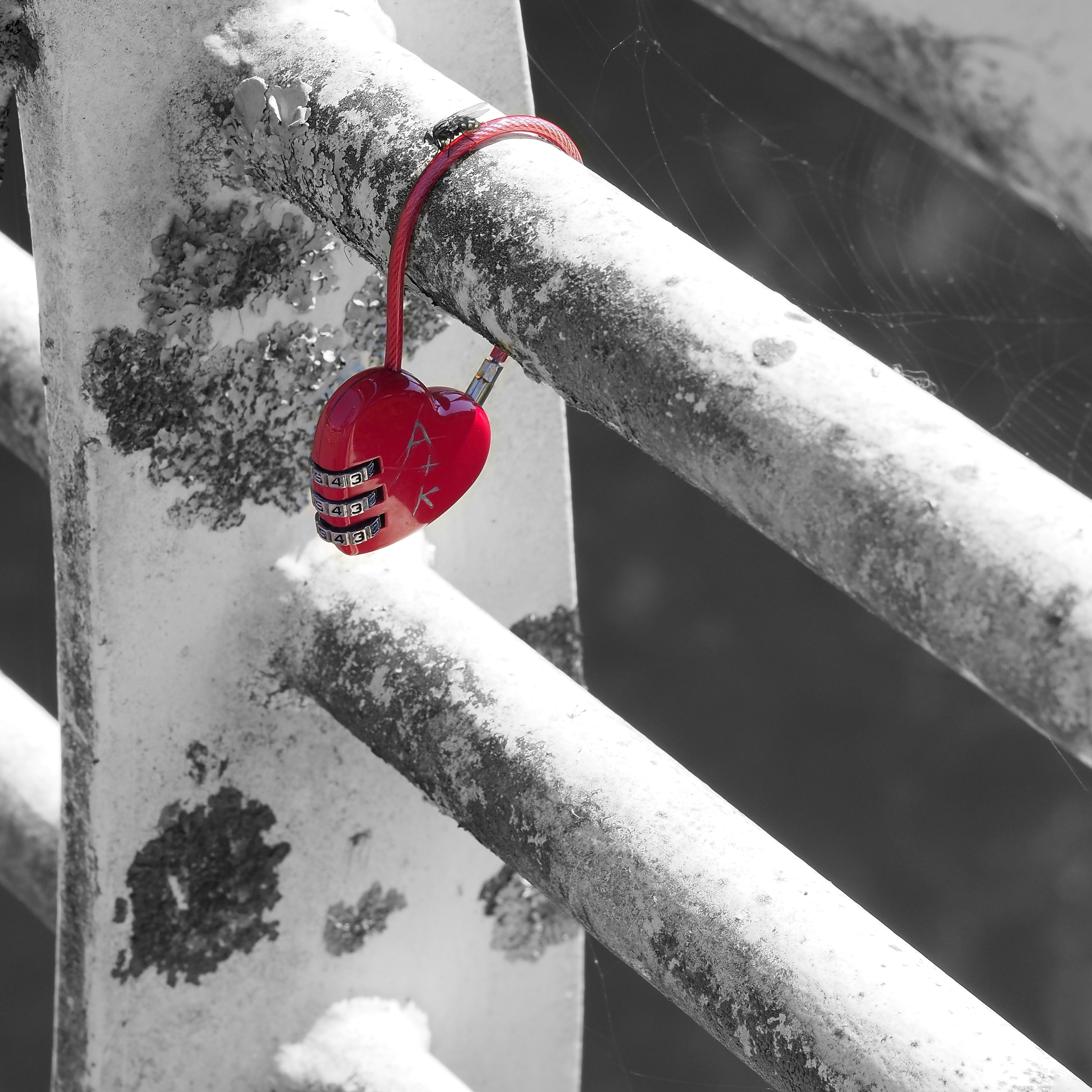 Locked Heart on a Sea of Frosted Rails