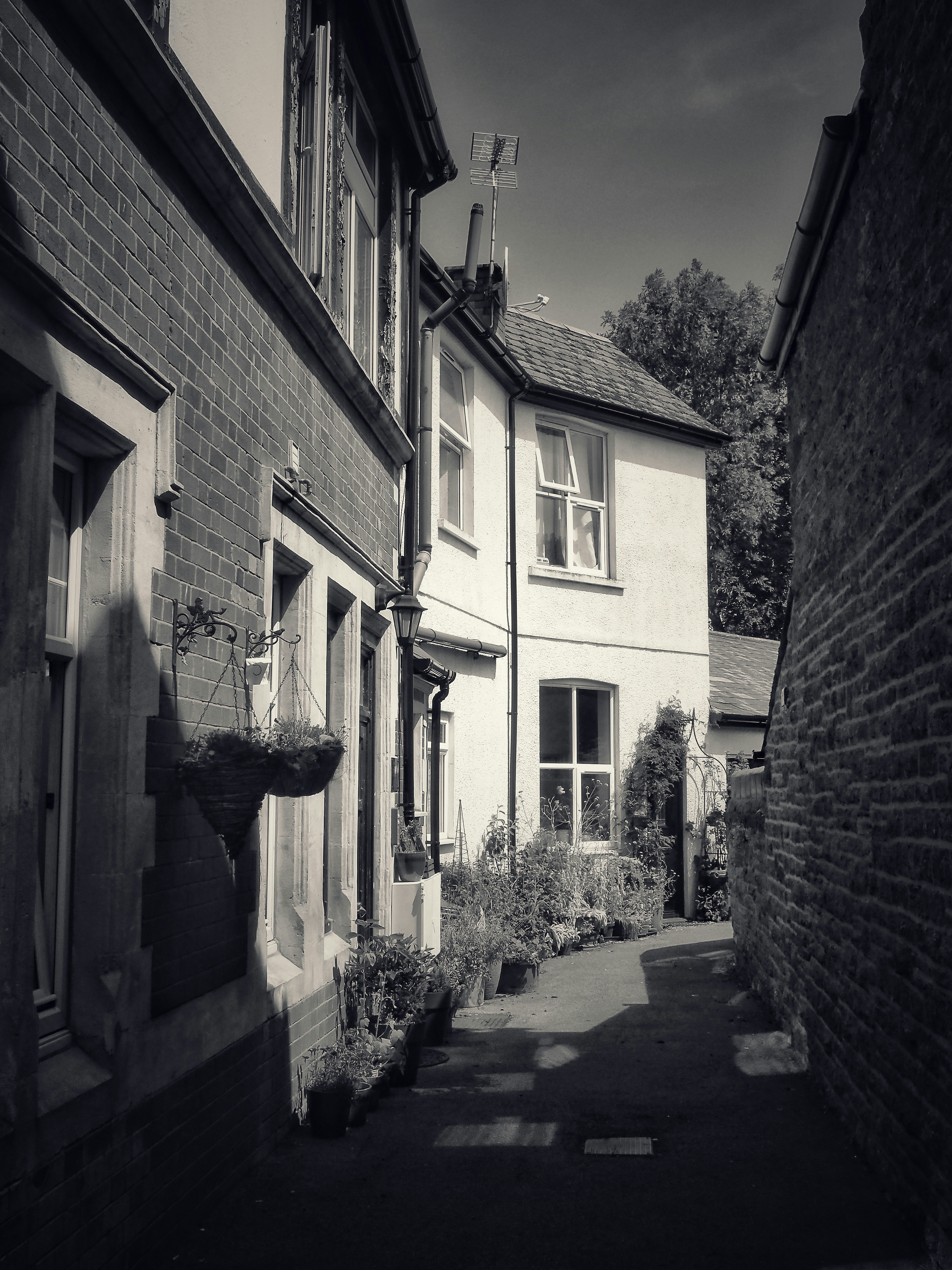 Narrow Alleyway Between Brick Homes Under a Sunlit Sky