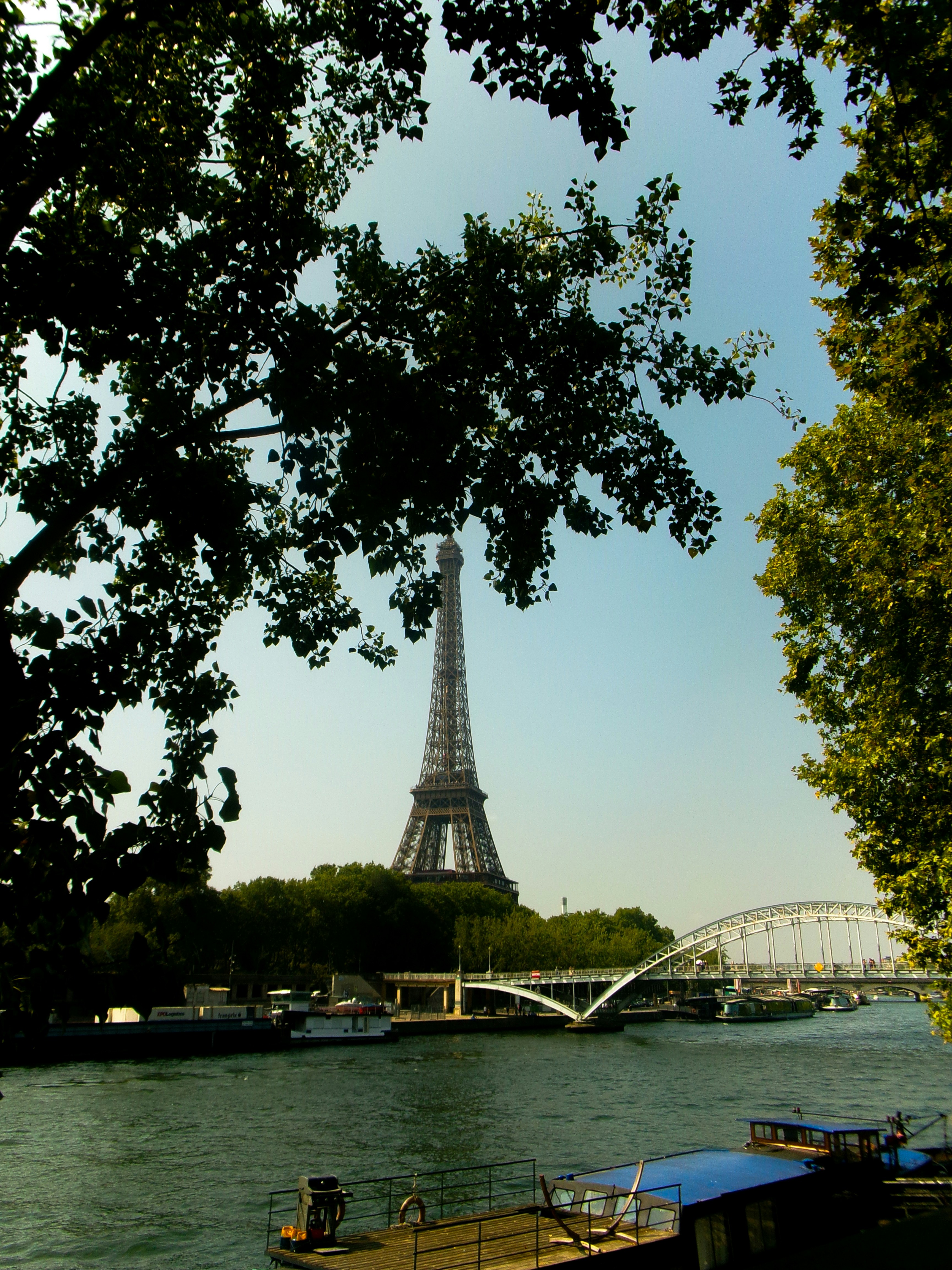 Eiffel Tower Framed by Tree Canopy Over the Seine