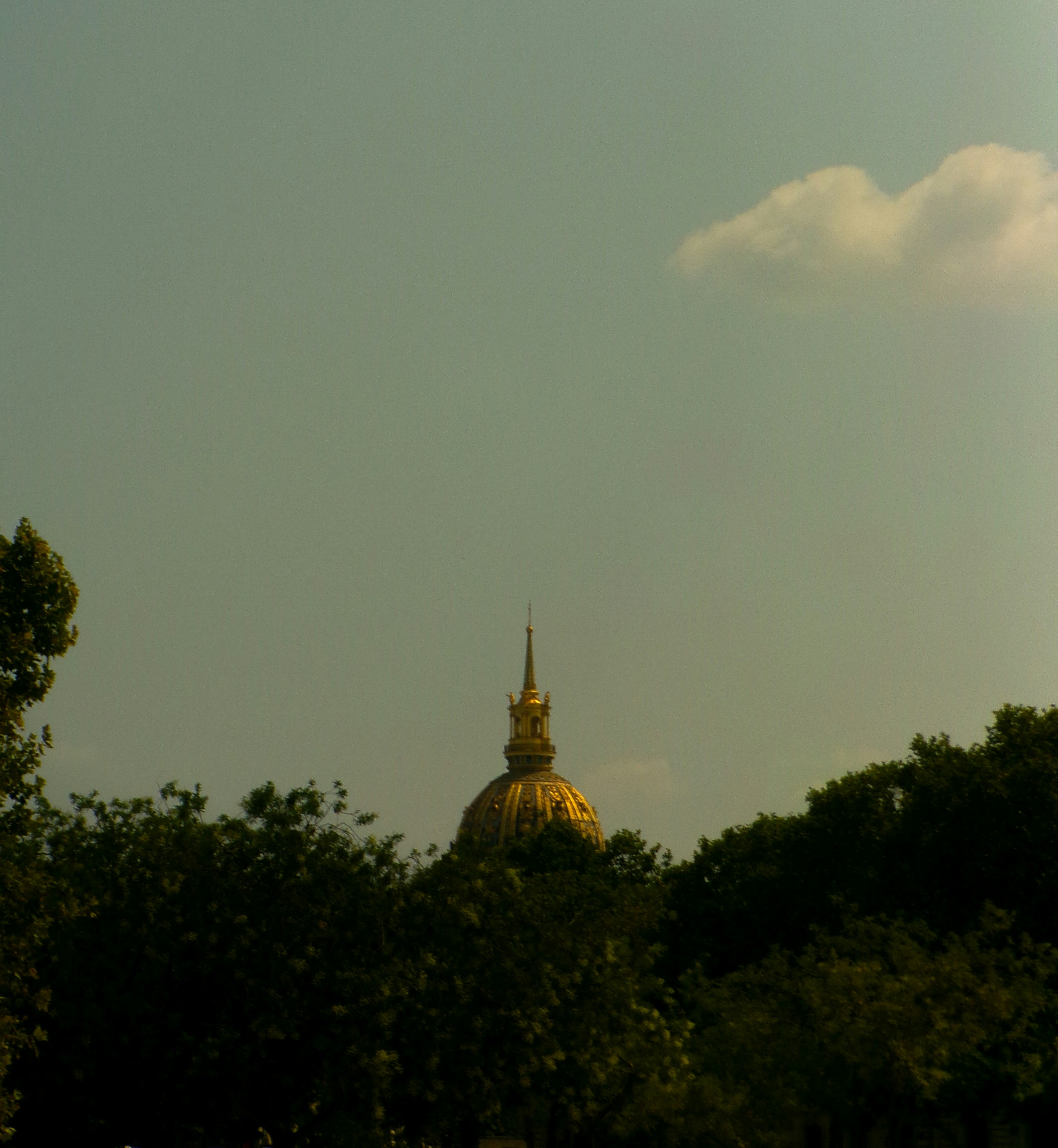Golden Dome Above the Canopy at Dusk