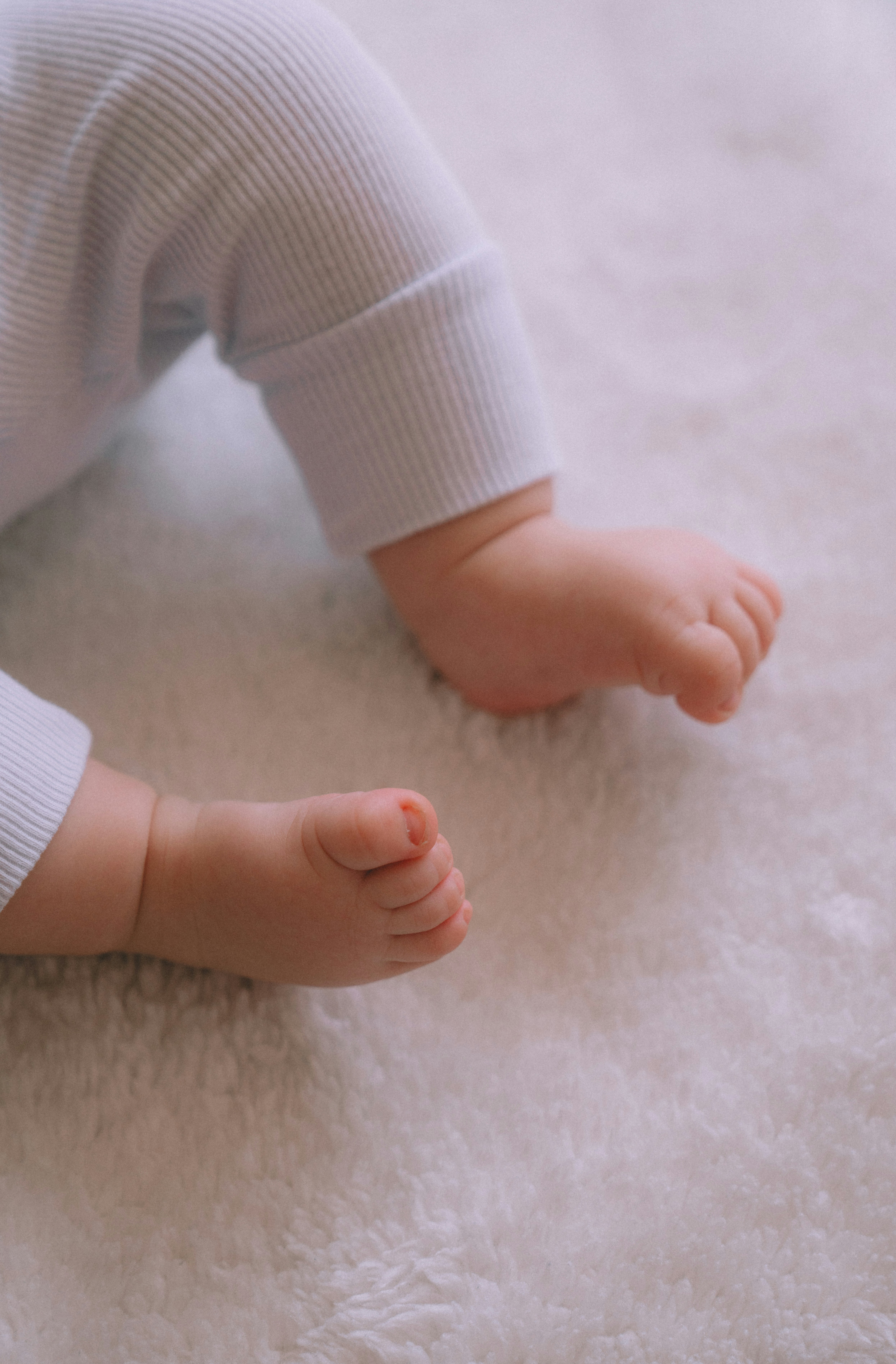 Soft Dusk on Tiny Feet: A Quiet Moment on Plush Carpet