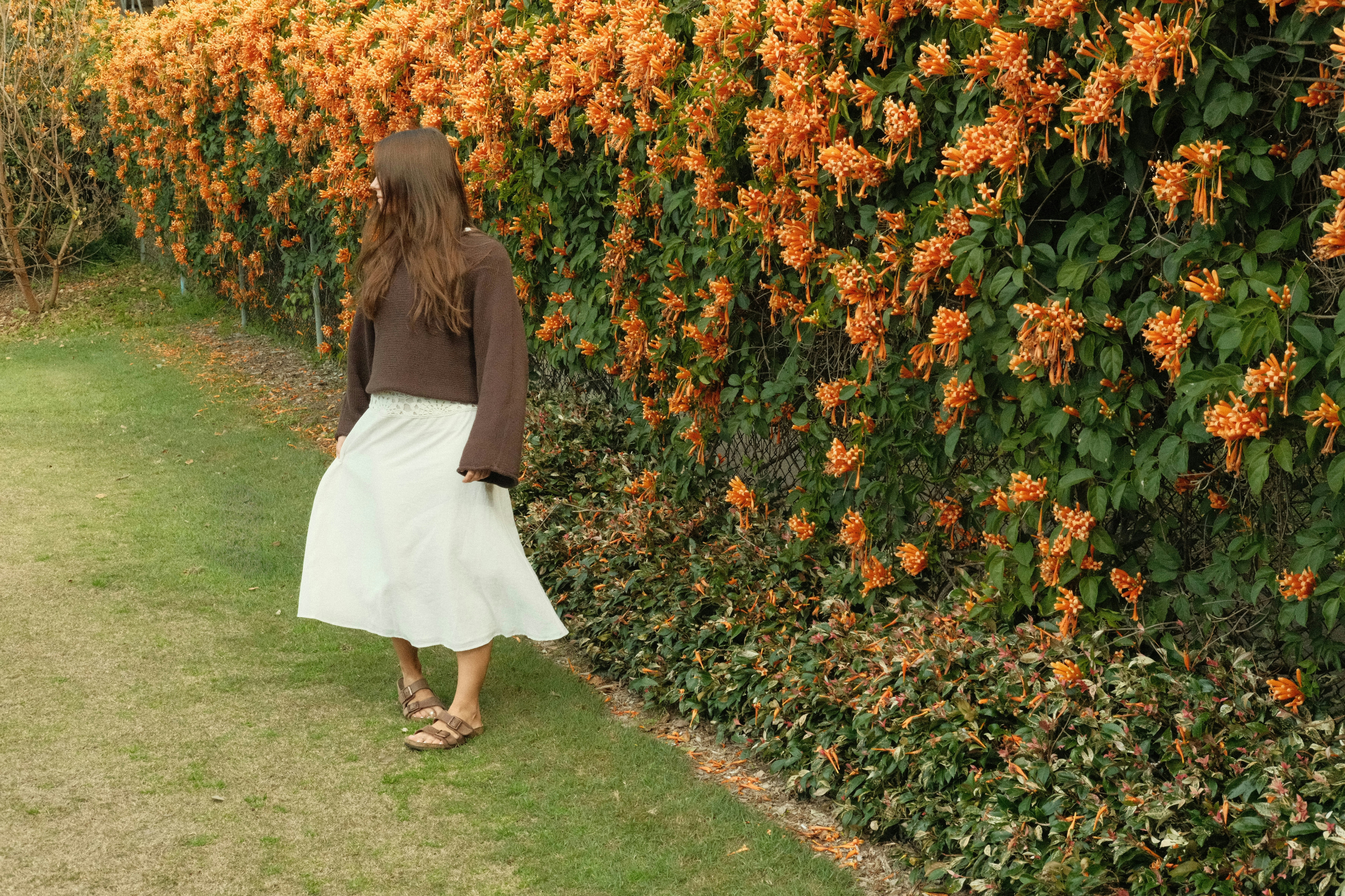 Girl in a White Skirt Walks Along a Hedge Lined Path