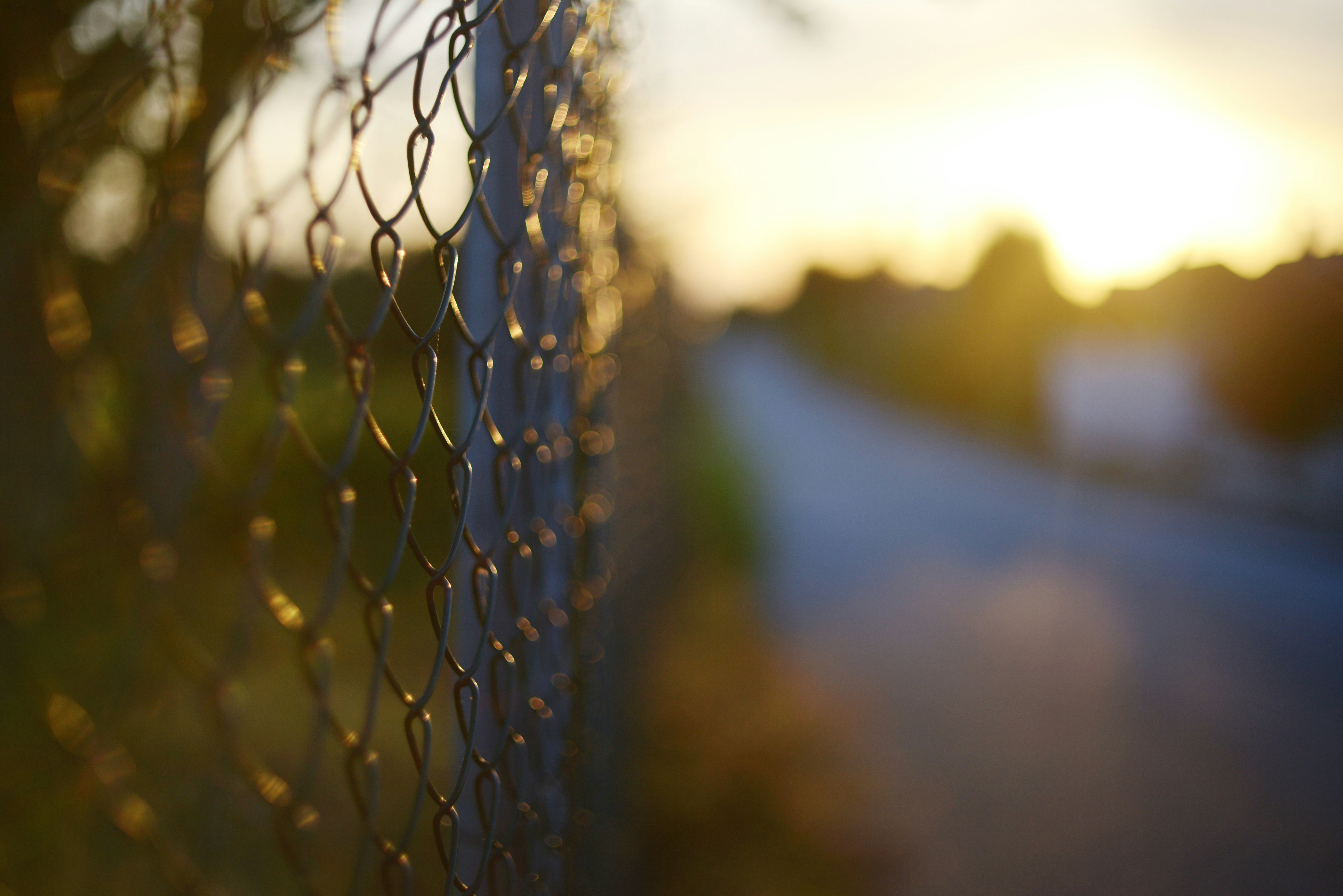 Golden Hour Mesh: Sunlit Chain-Link in Soft Focus