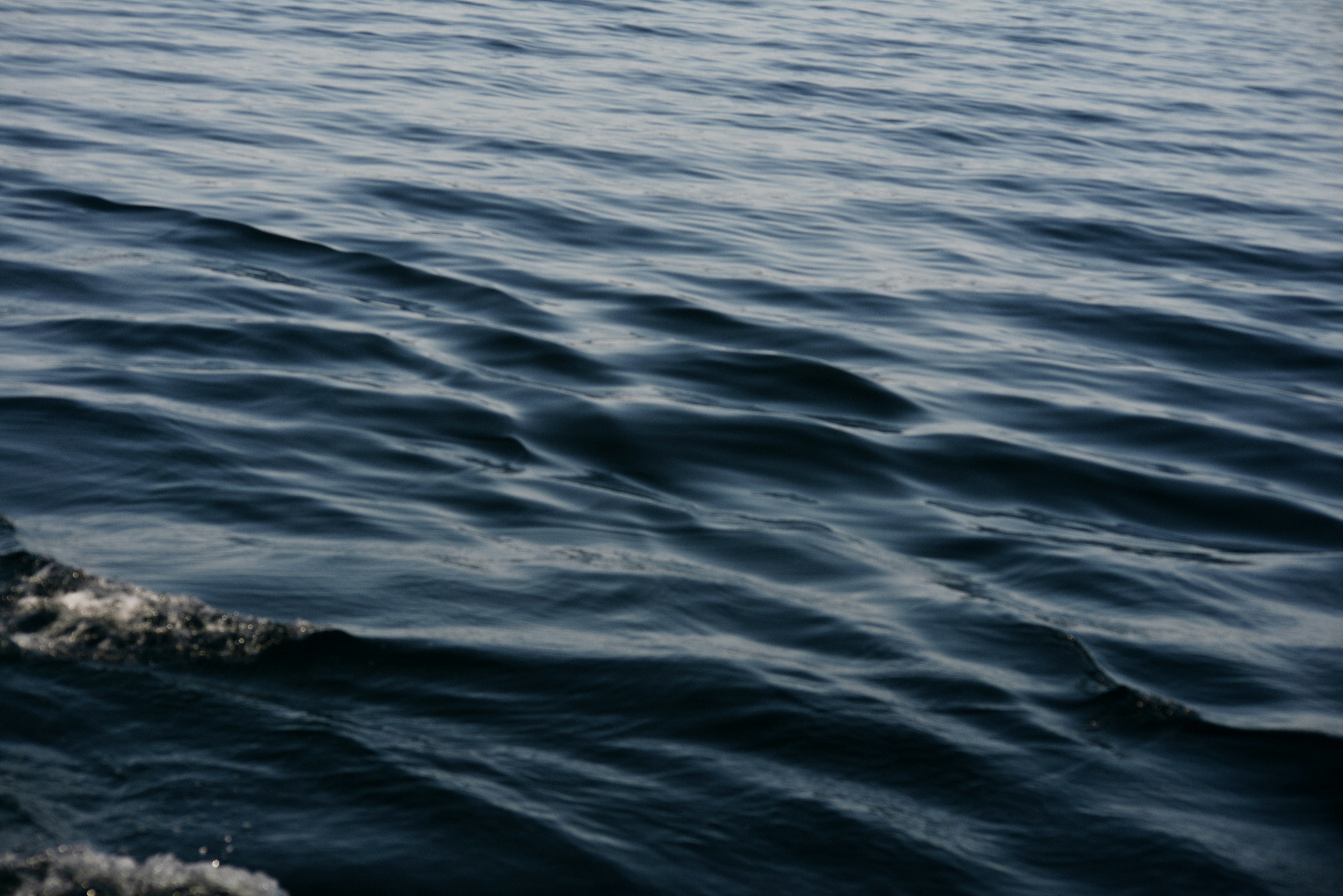 Mid-Autumn Glide: Subtle Ocean Currents Rippling