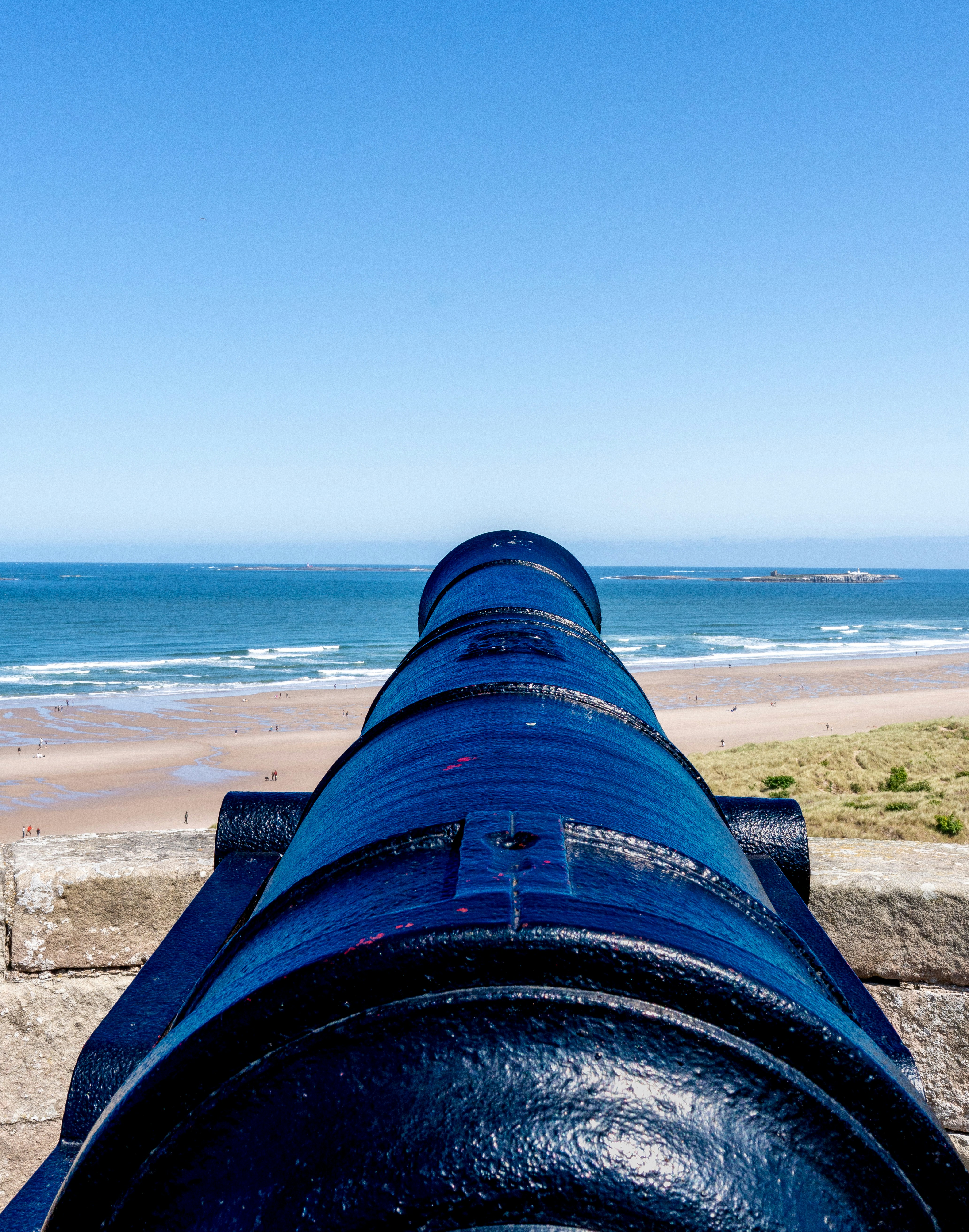 Cobalt Cannon Reaching Toward the Sea