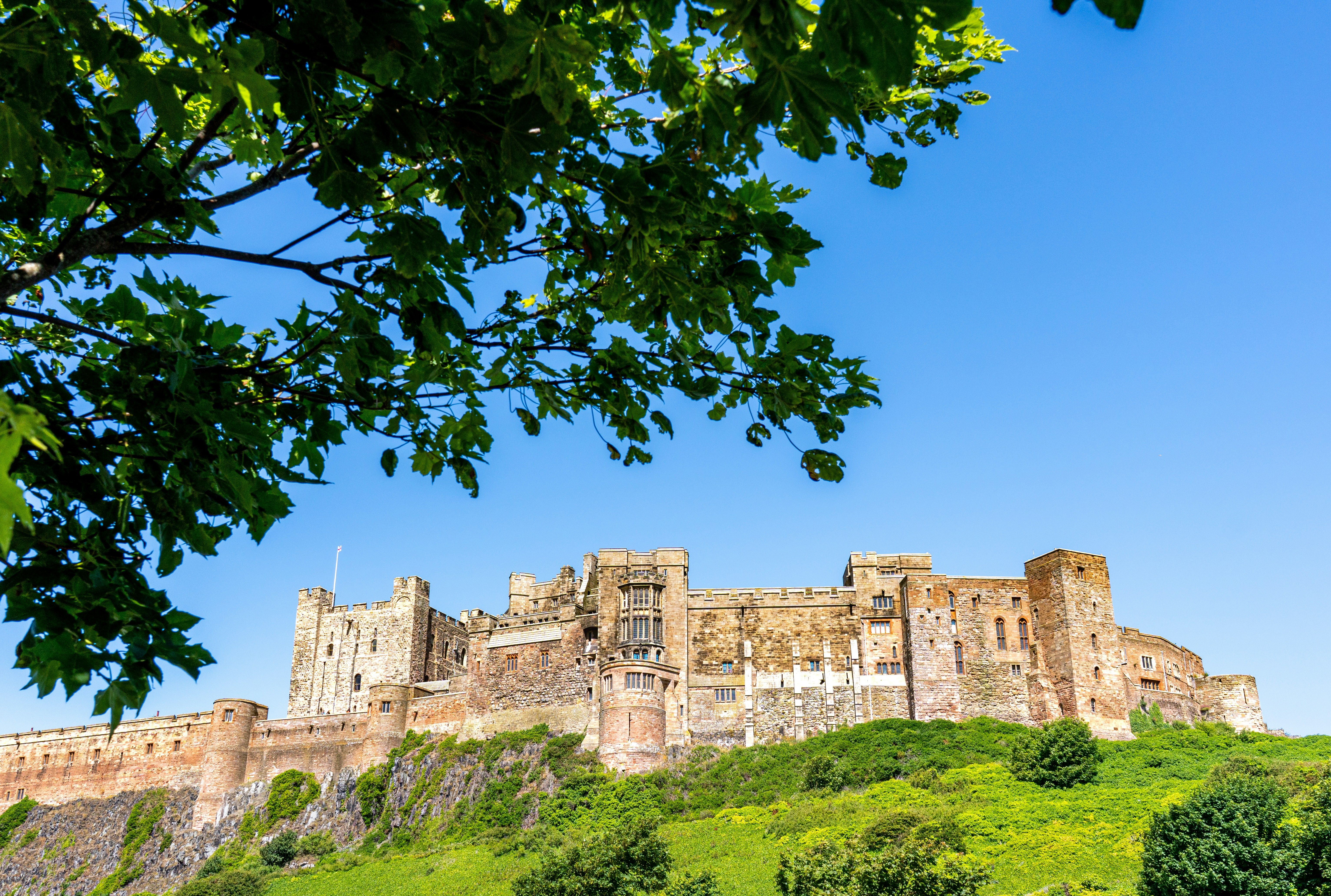 Castle on the Hill: Sunlit Fortress Framed by Leafy Arch