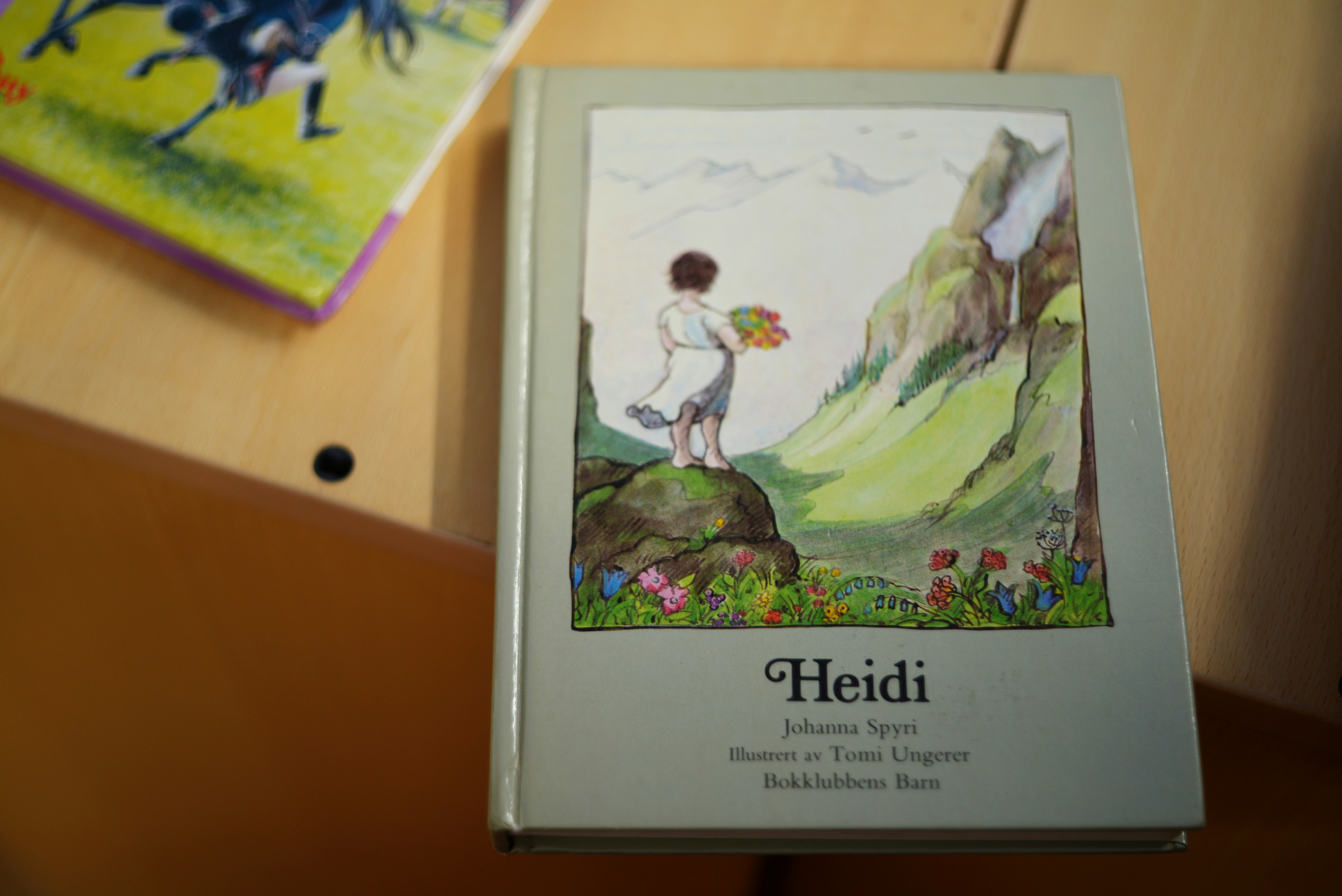 Heidi’s Meadow Moment: A Quiet Gift Near the Stream