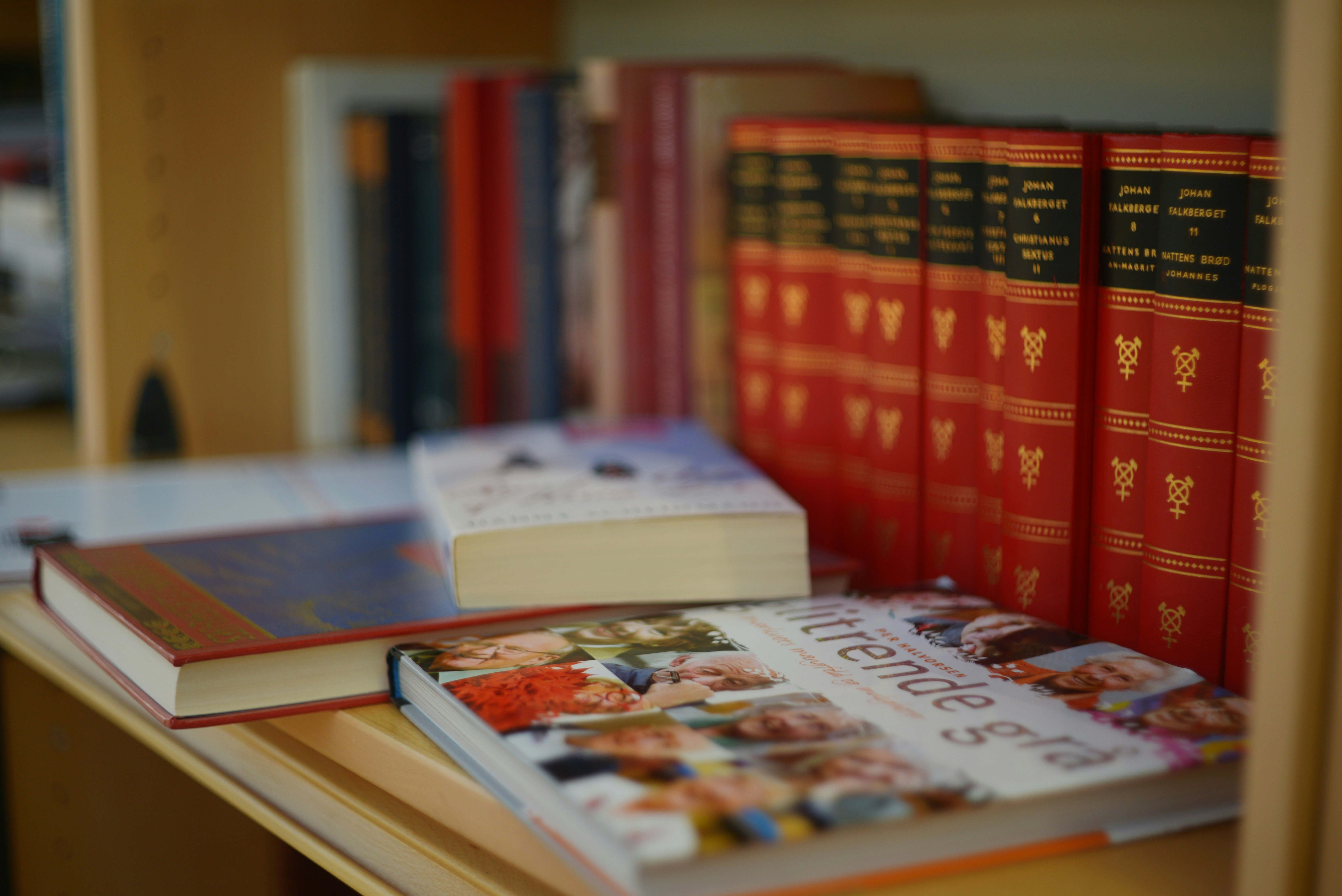 Shelf Study: A Quiet Narrative of Books and Color