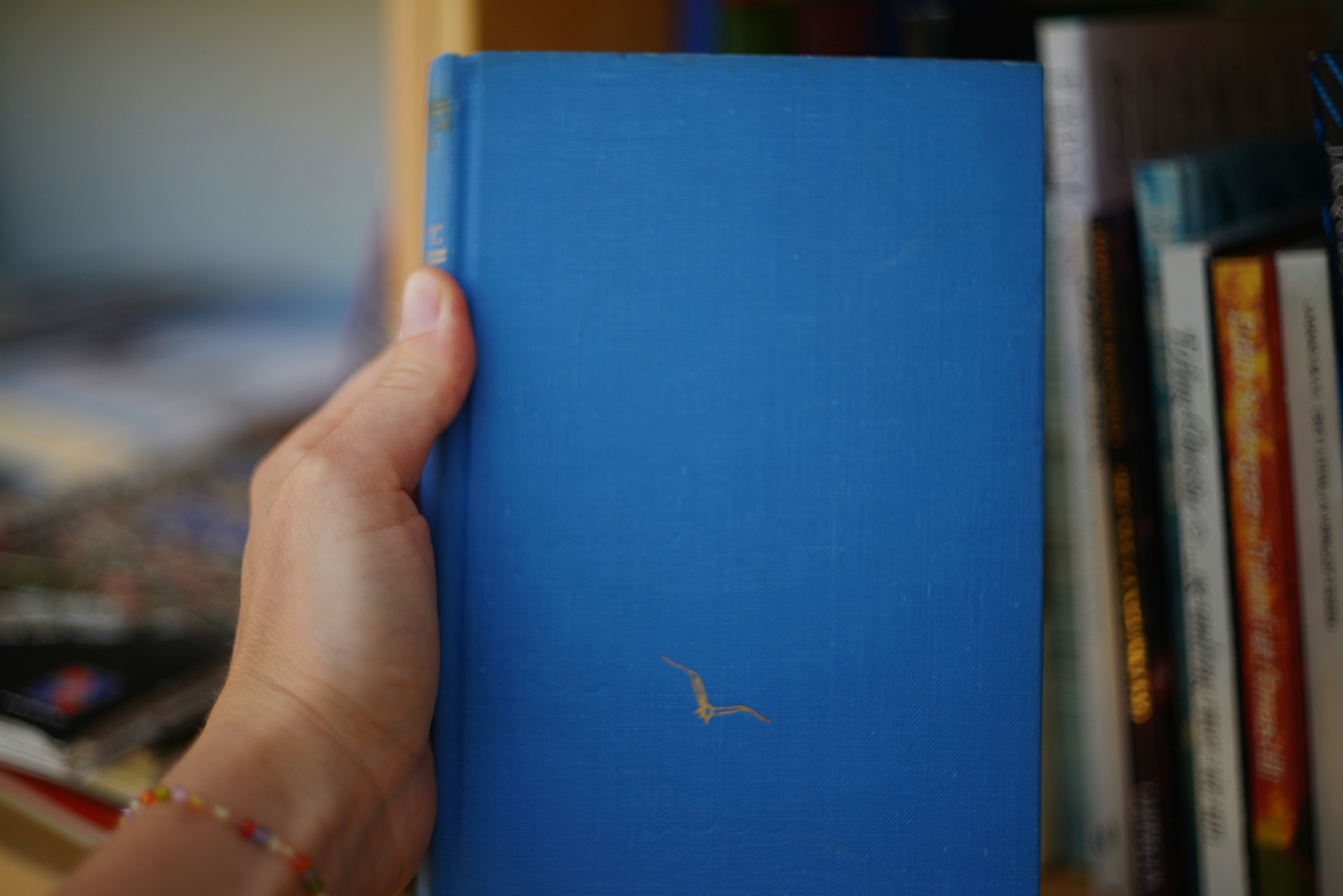 Blue Hardcover in Hand: A Quiet Moment Among Books