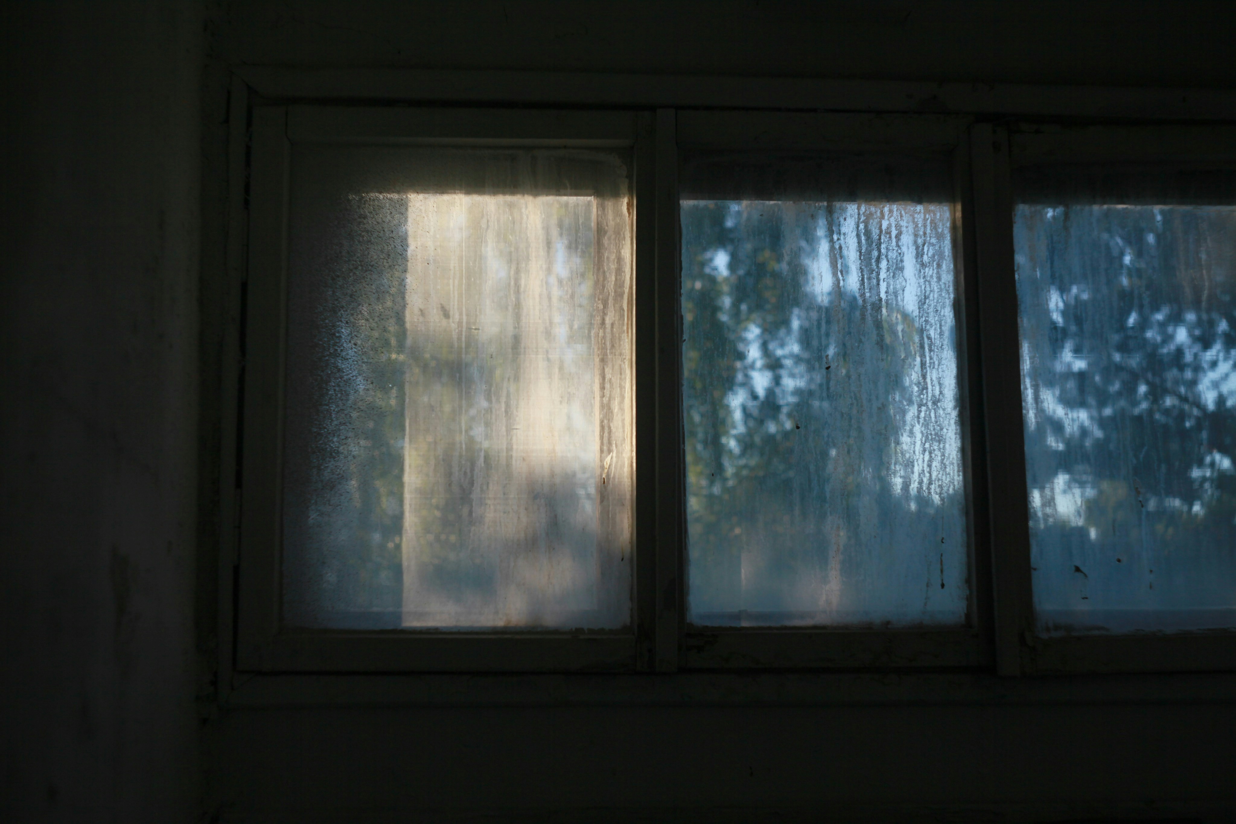 Winter Light Through a Forgotten Window