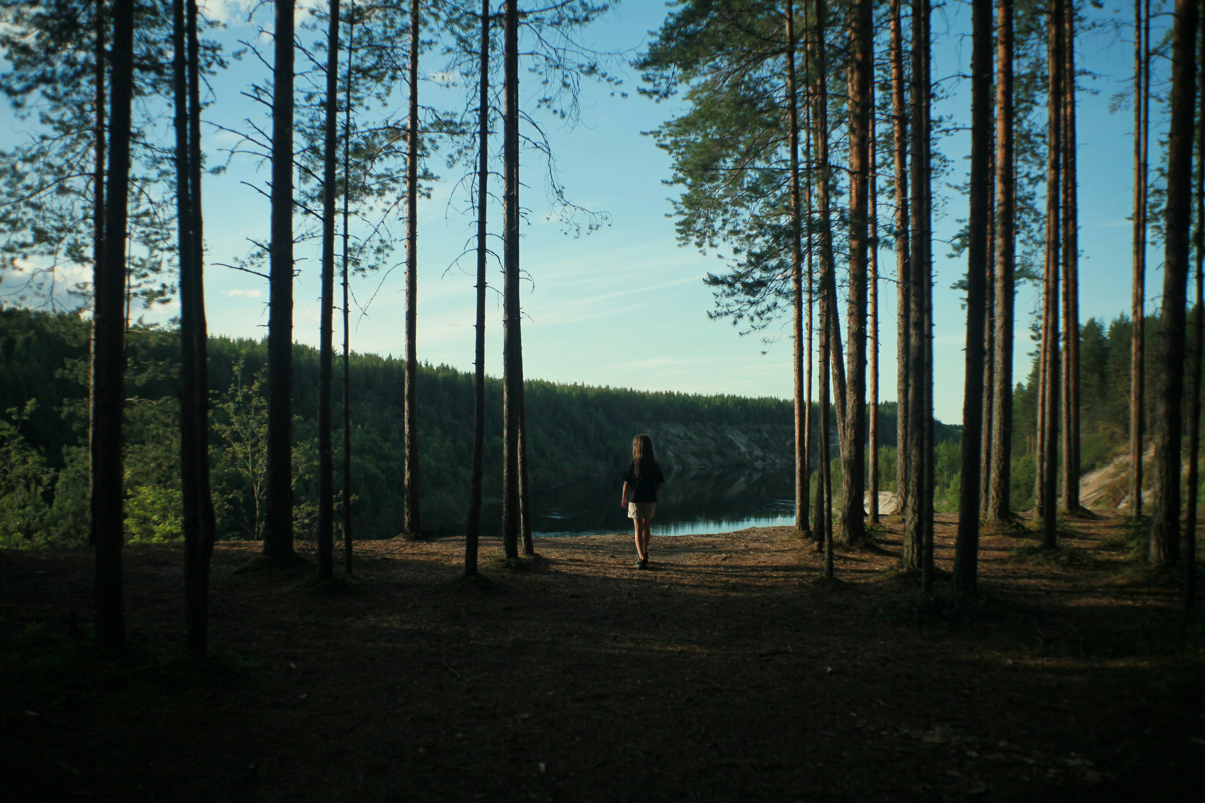 Path to the Quiet Lake: A lone wanderer among pines
