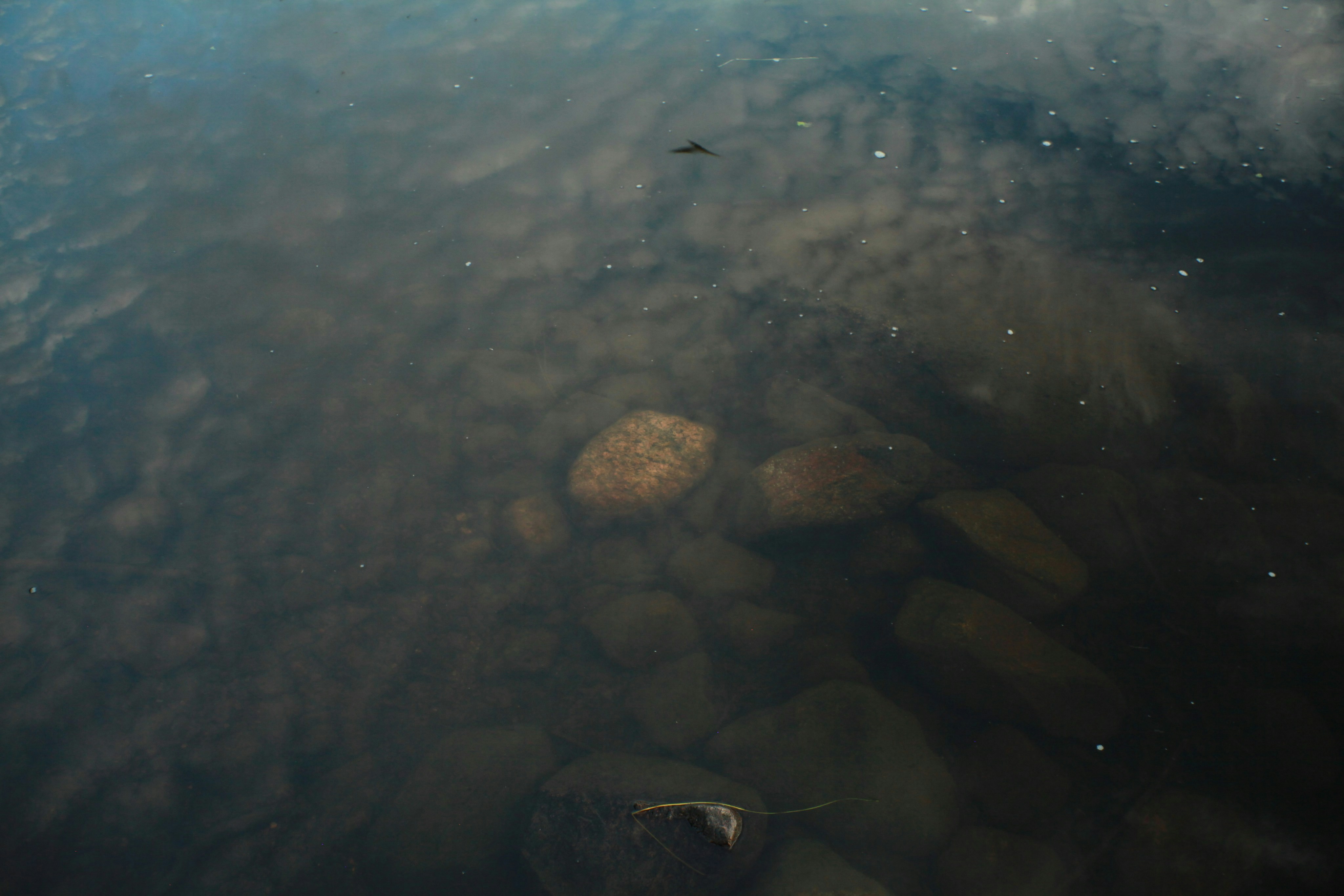 Submerged Echoes: Stones Beneath Quiet Water