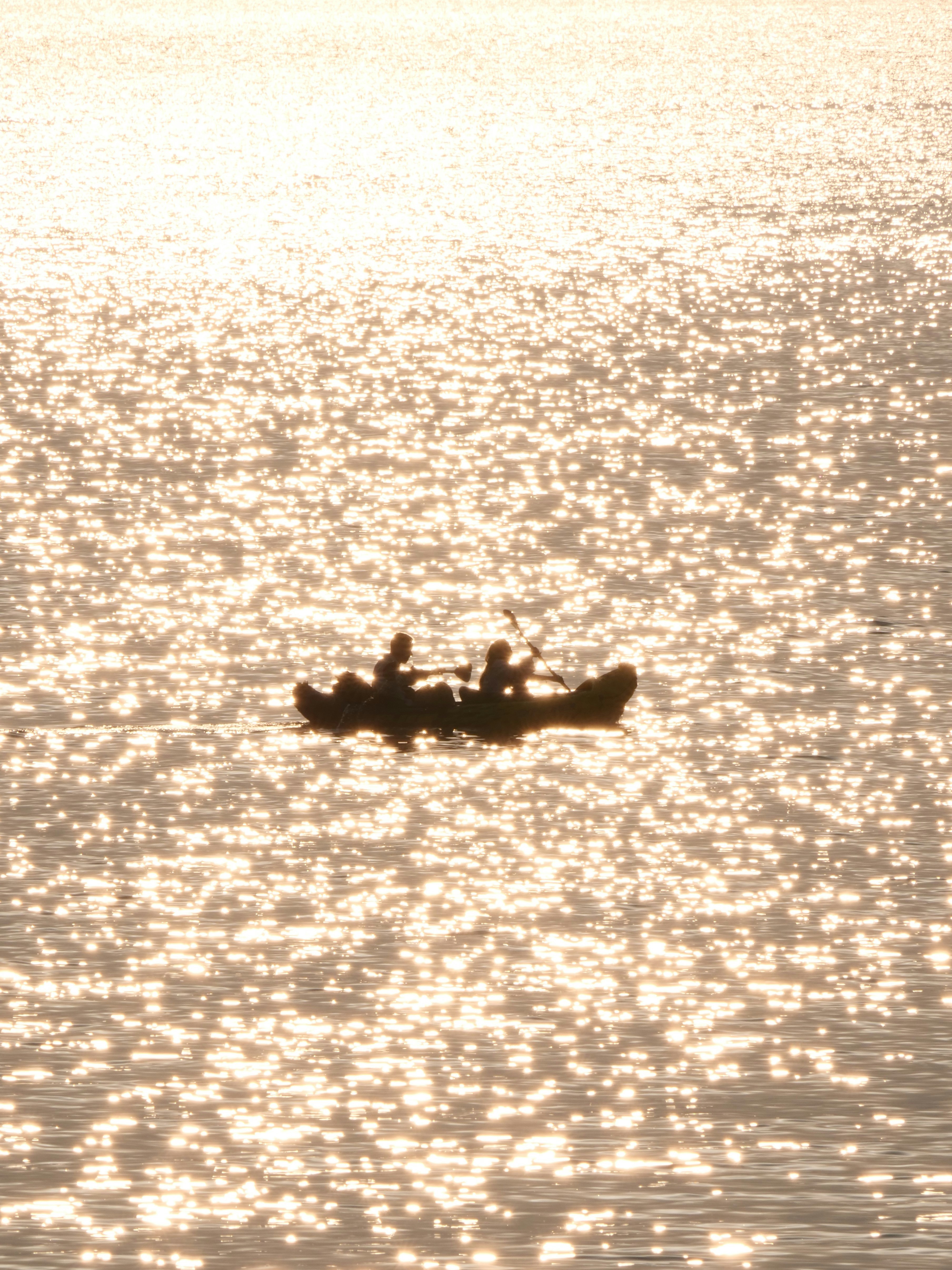 Silhouette Afloat: An Oarful Moment on Sunlit Water