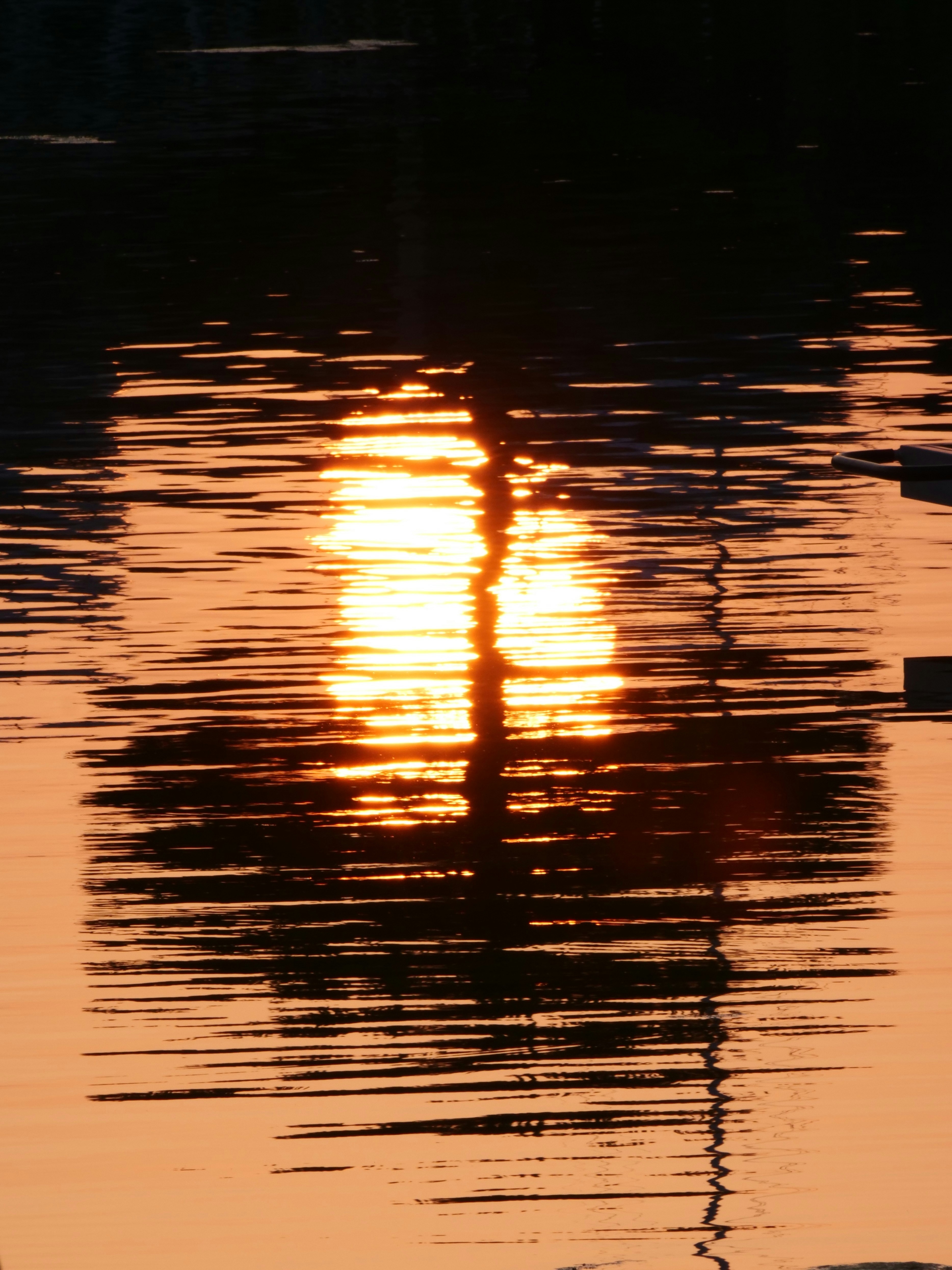 Sunlit Ripples: A Golden Reflection Skimming the Lake