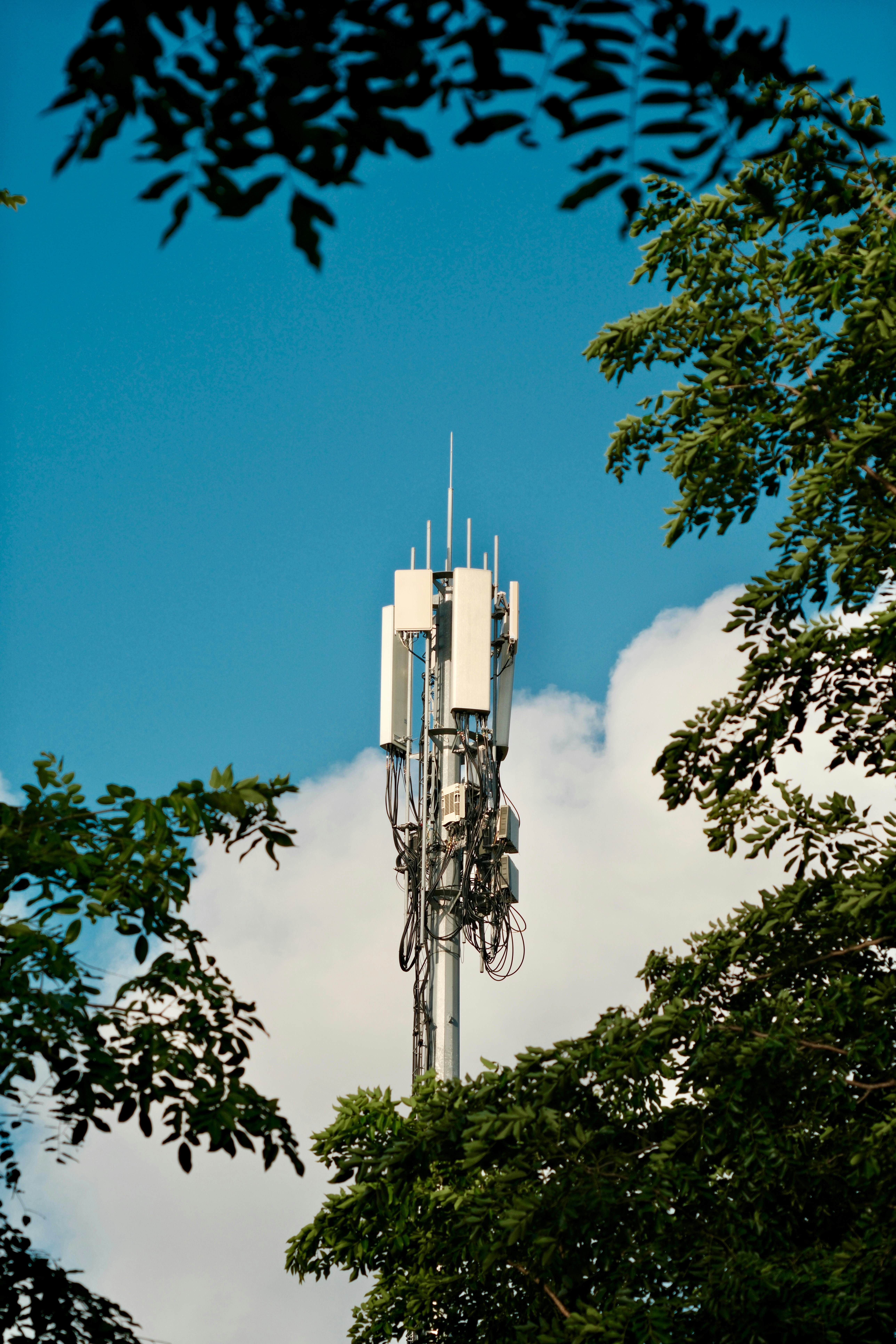Midday Skyward: Cellular Mast Piercing Blue