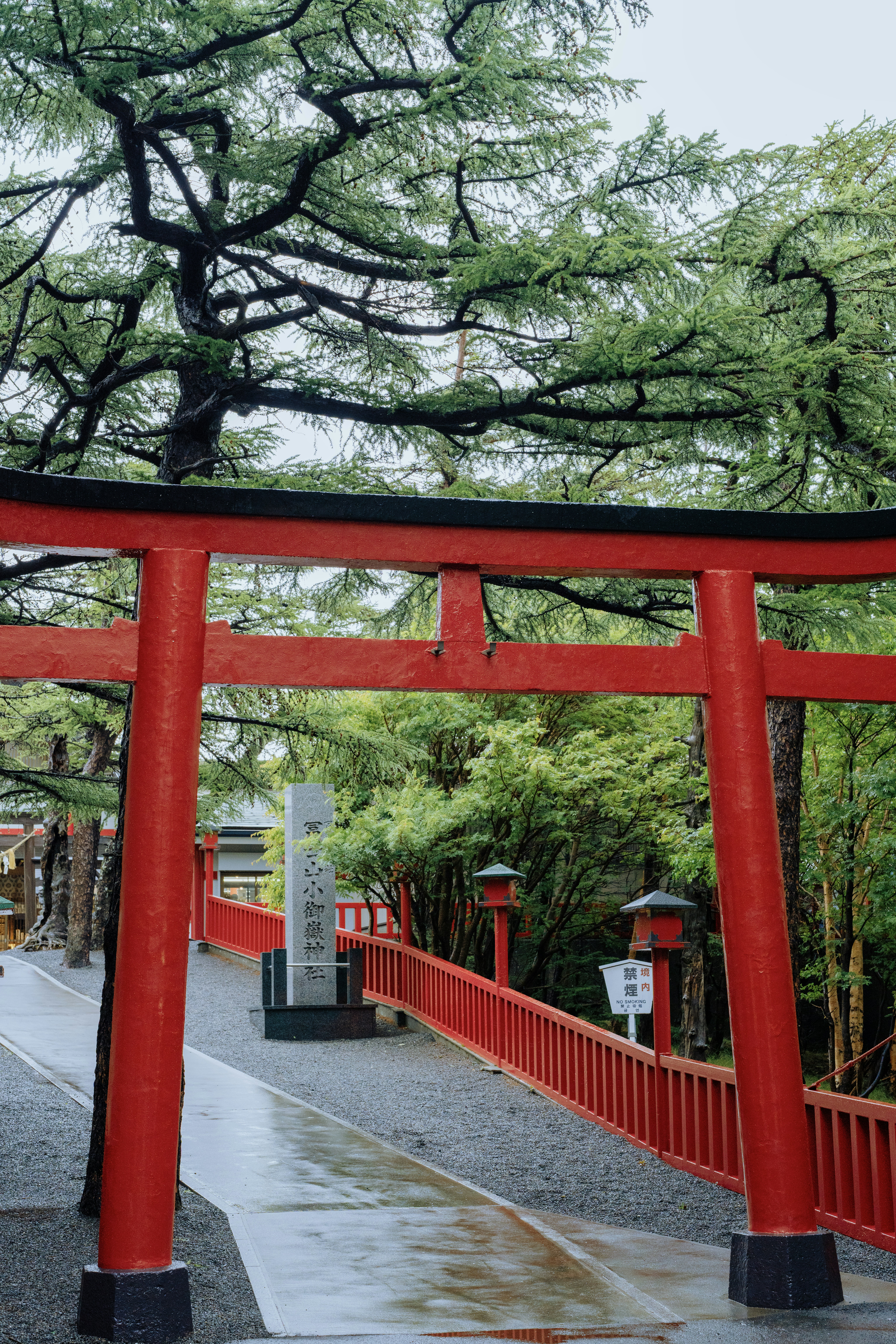 Crimson Gate Over a Quiet Path