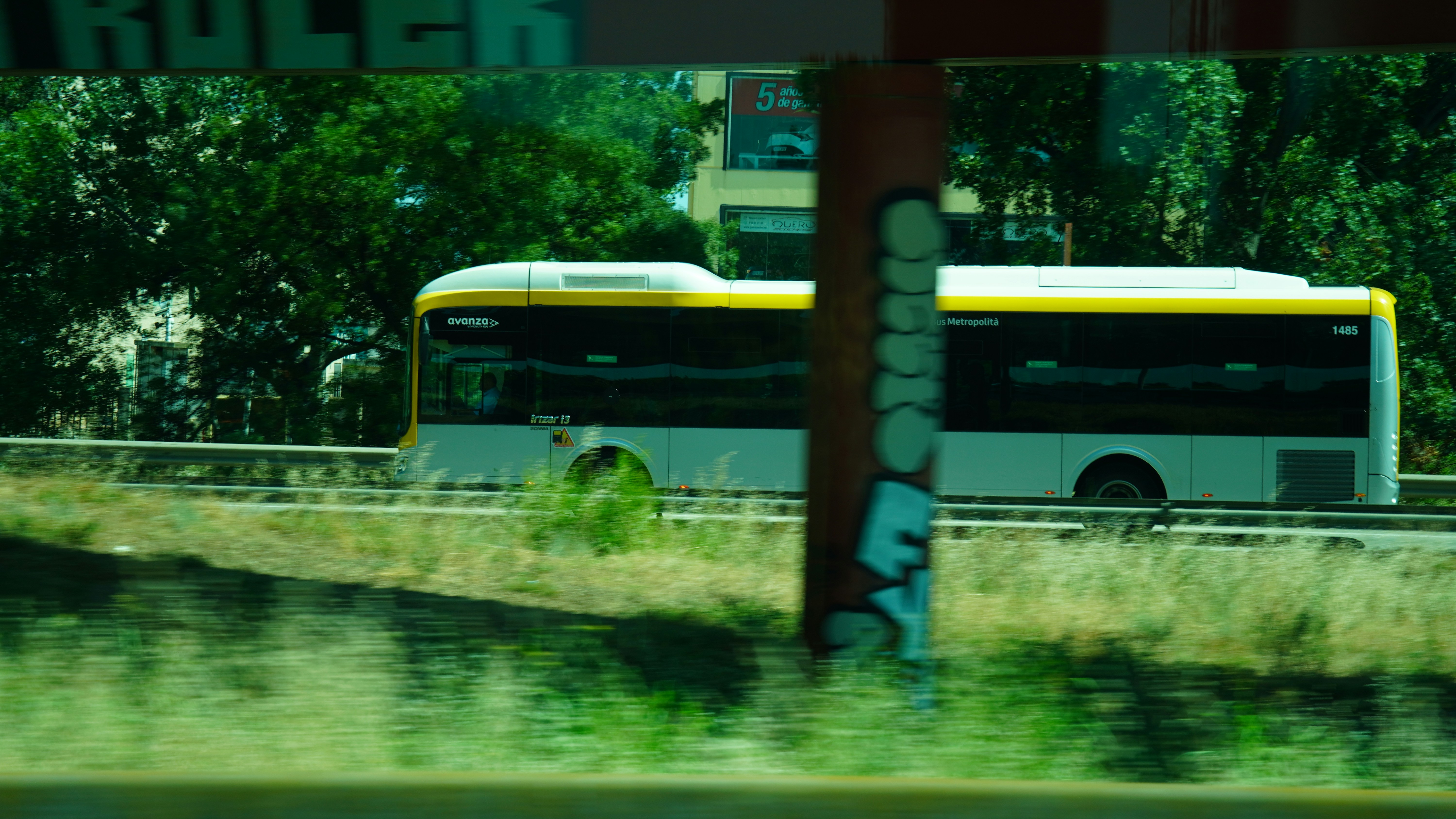 Transit Ribbon: A Yellow-Bodied Bus Slices Through the Green-Edge Landscape