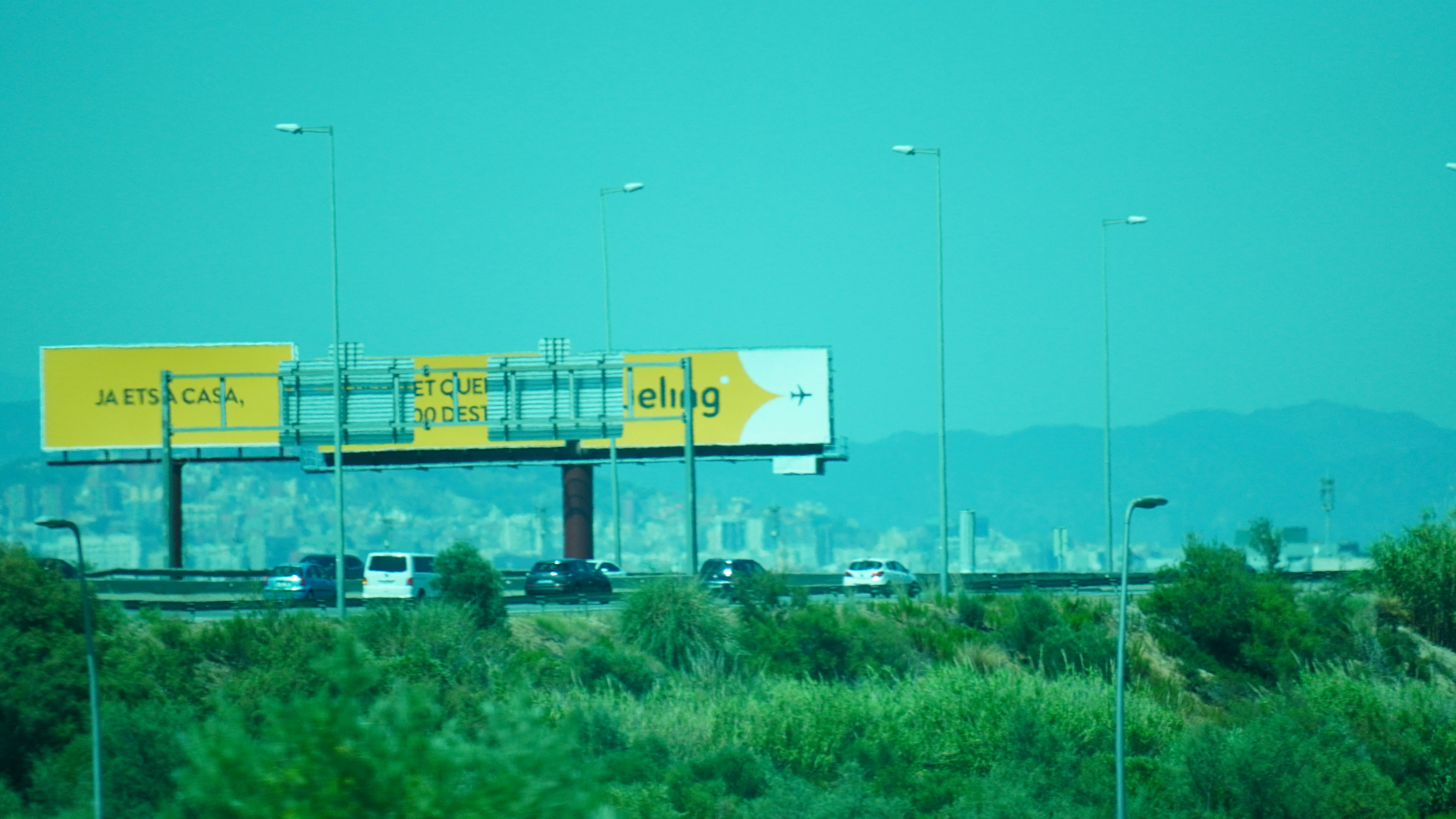 Billboard Horizon: Highway Signage Over Green Verge