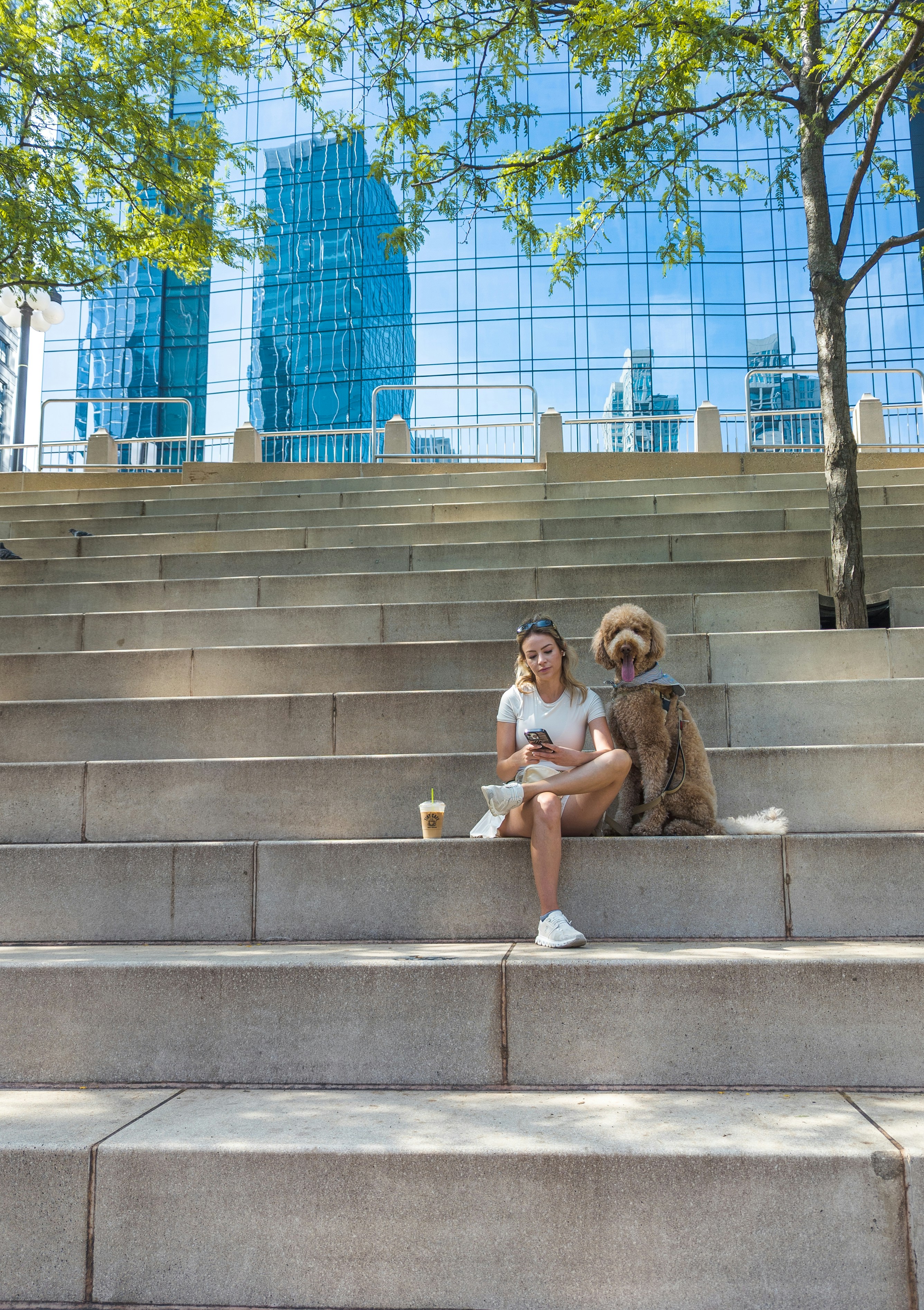 Steps to Serenity: a Woman and Her Dog Paused in the Urban Park