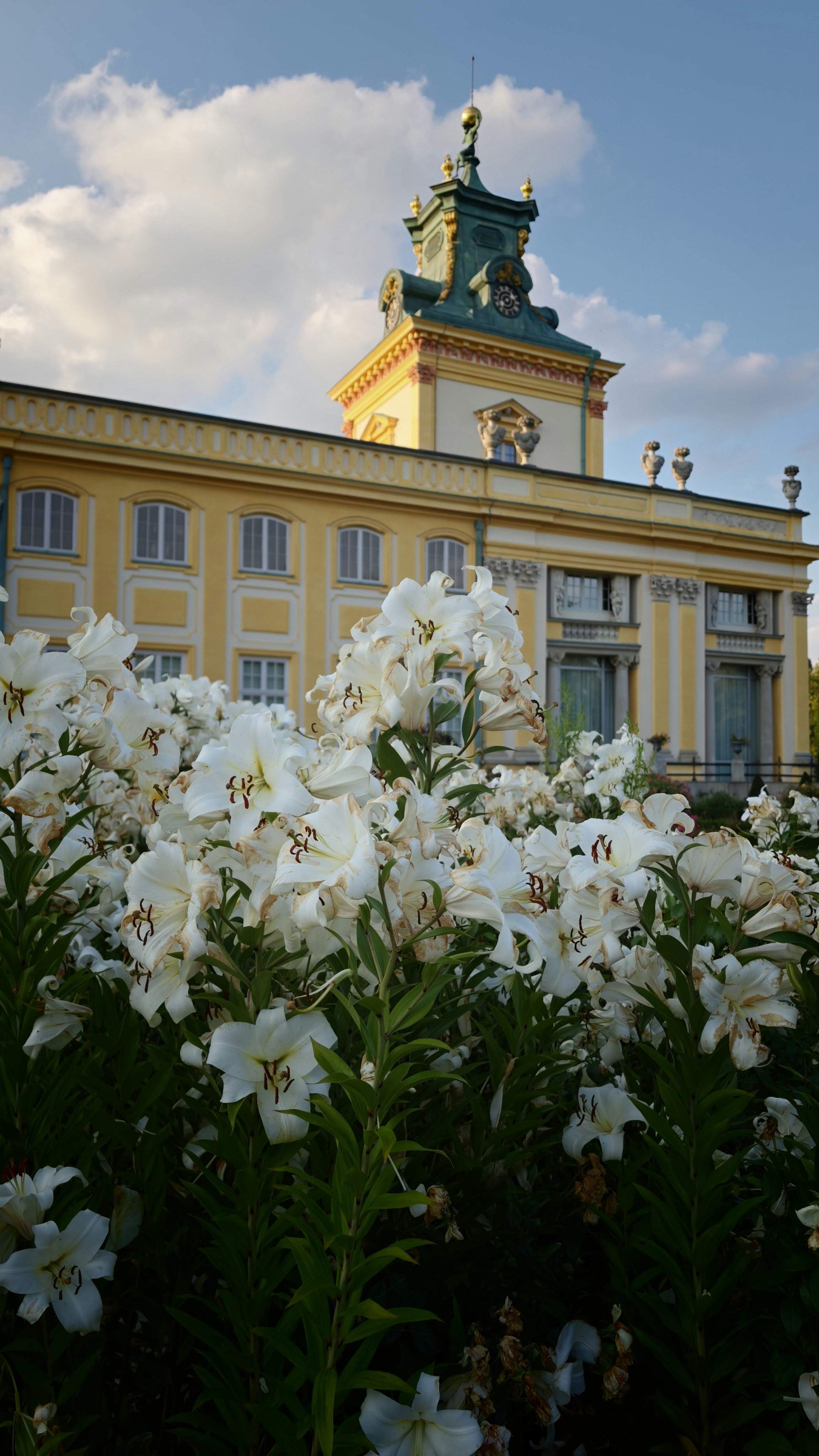 Sunny courtyard bloom: lilies foreground with Baroque-era yellow museum facade