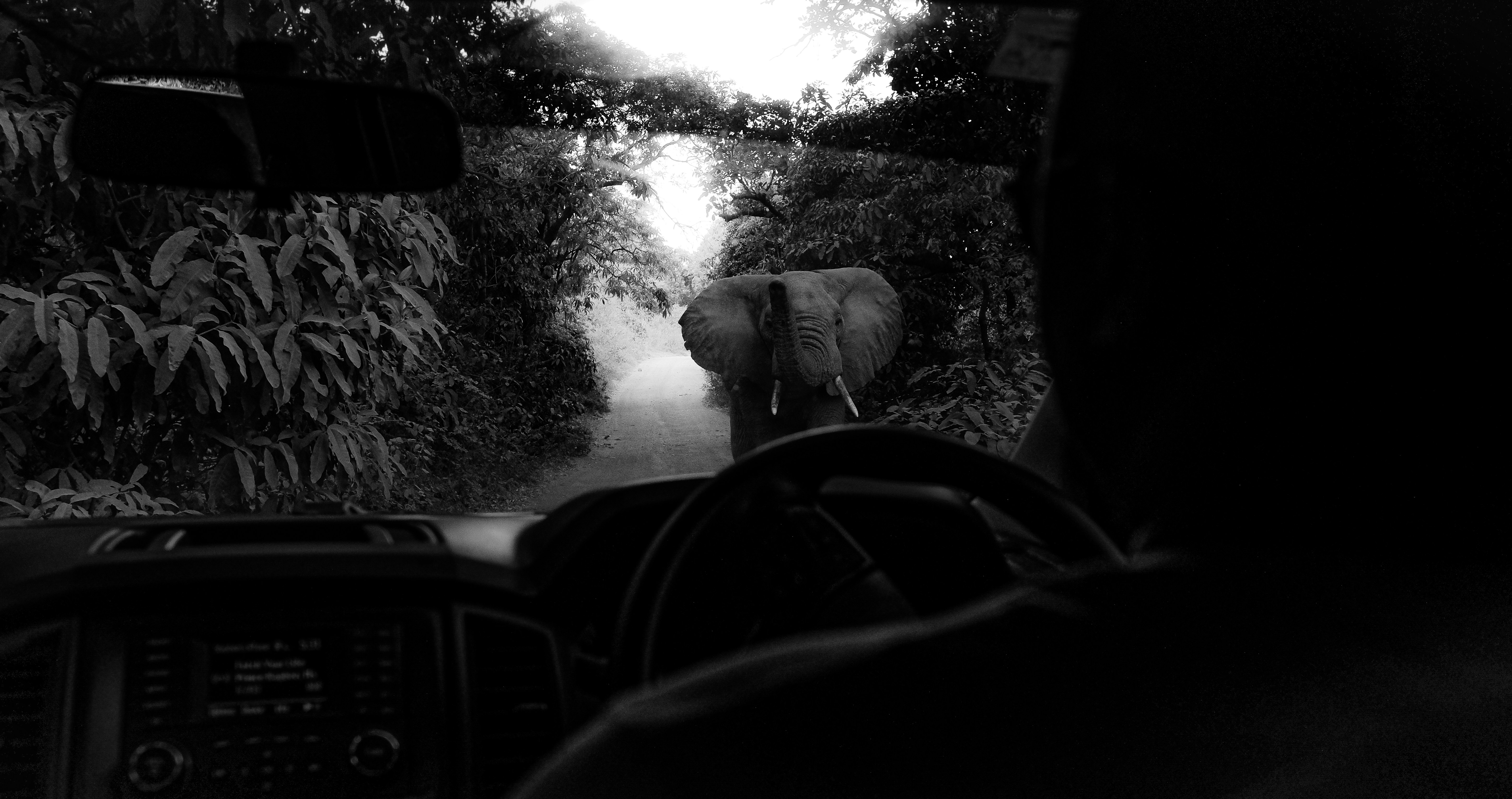 Ghostly Passenger at the End of the Road