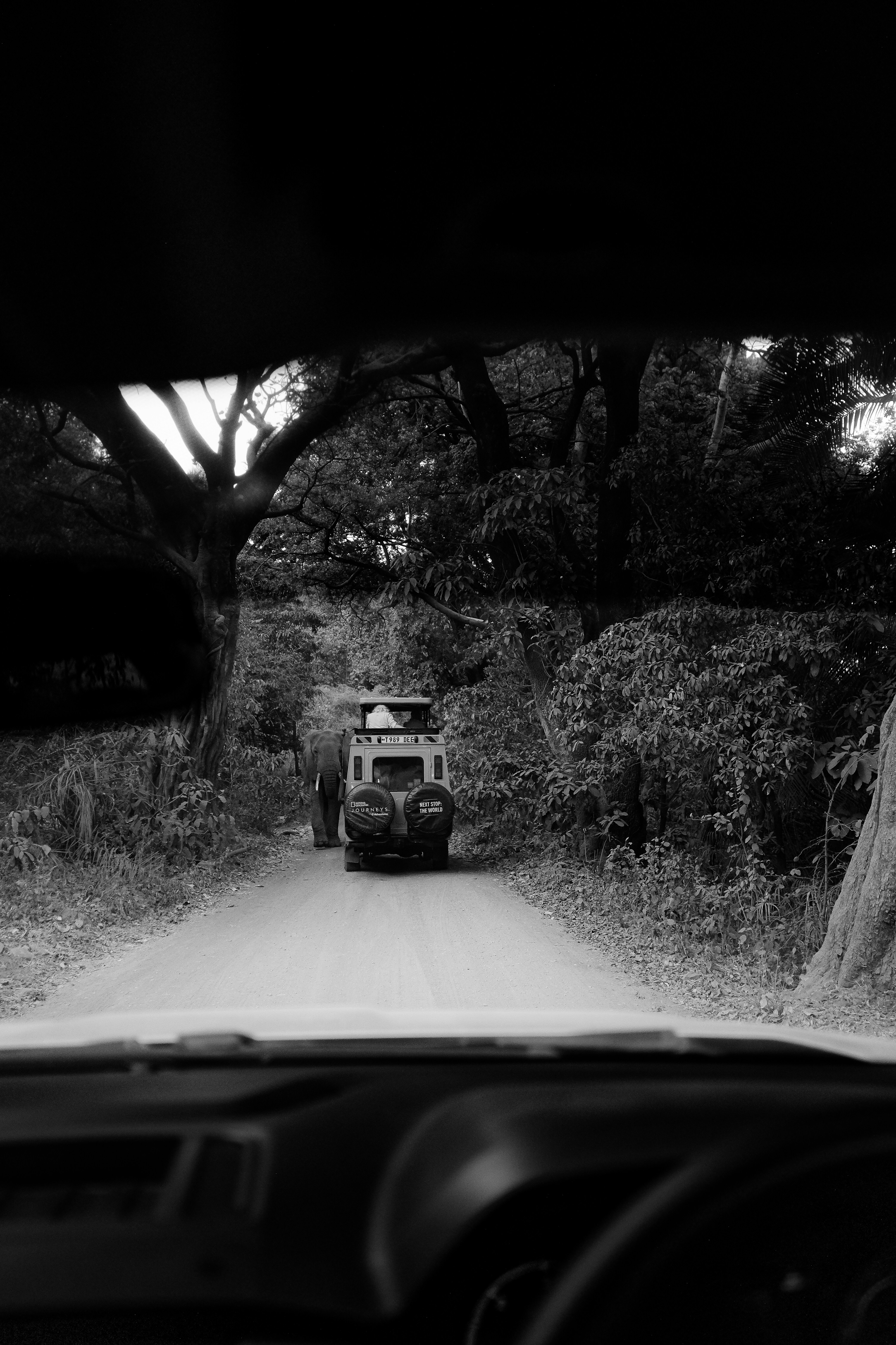 Ferrous Road: A Vintage Caravan Emerges Through Jungle Dawn