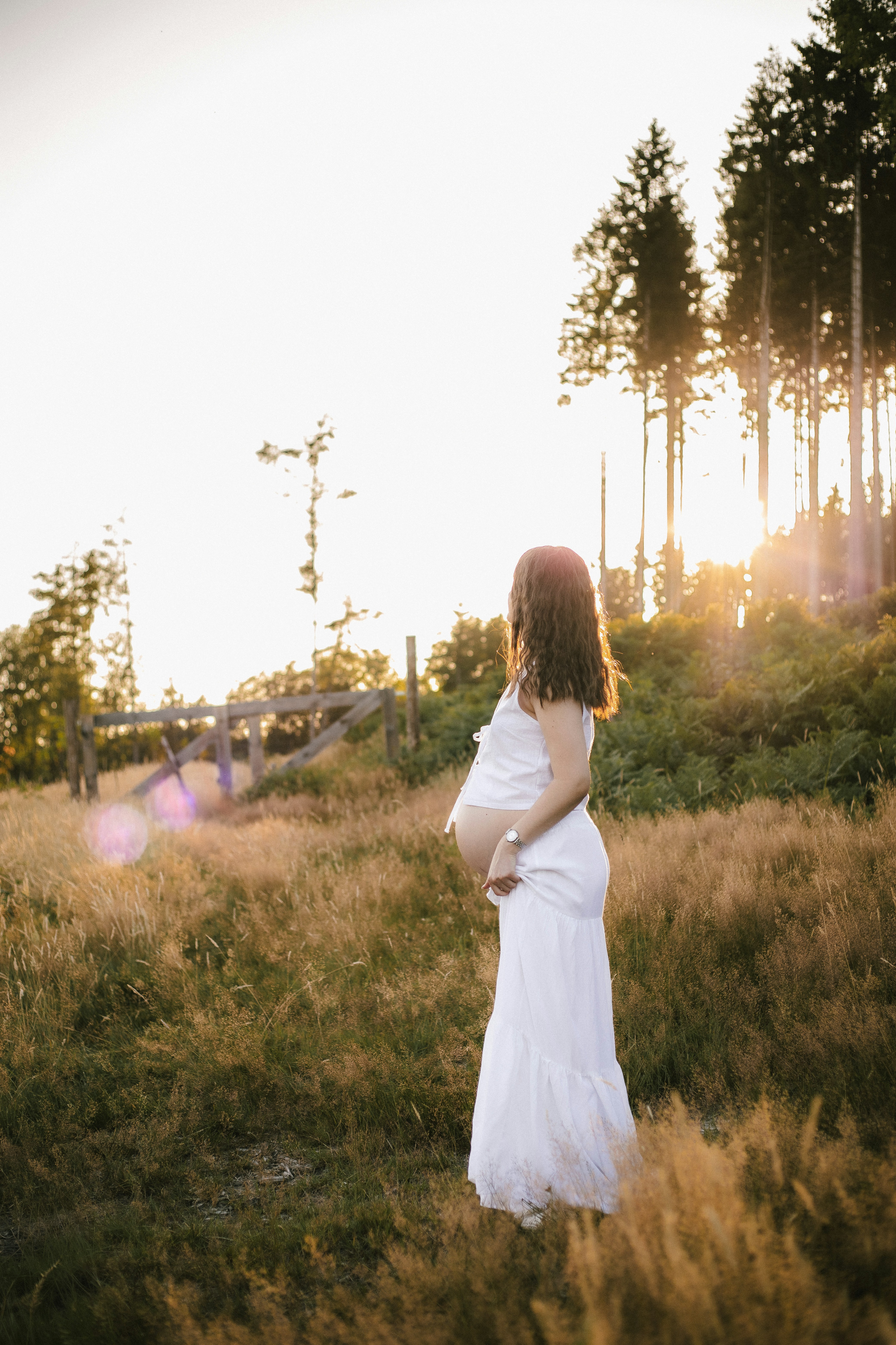 Pregnant Silhouette in Backlit Meadow
