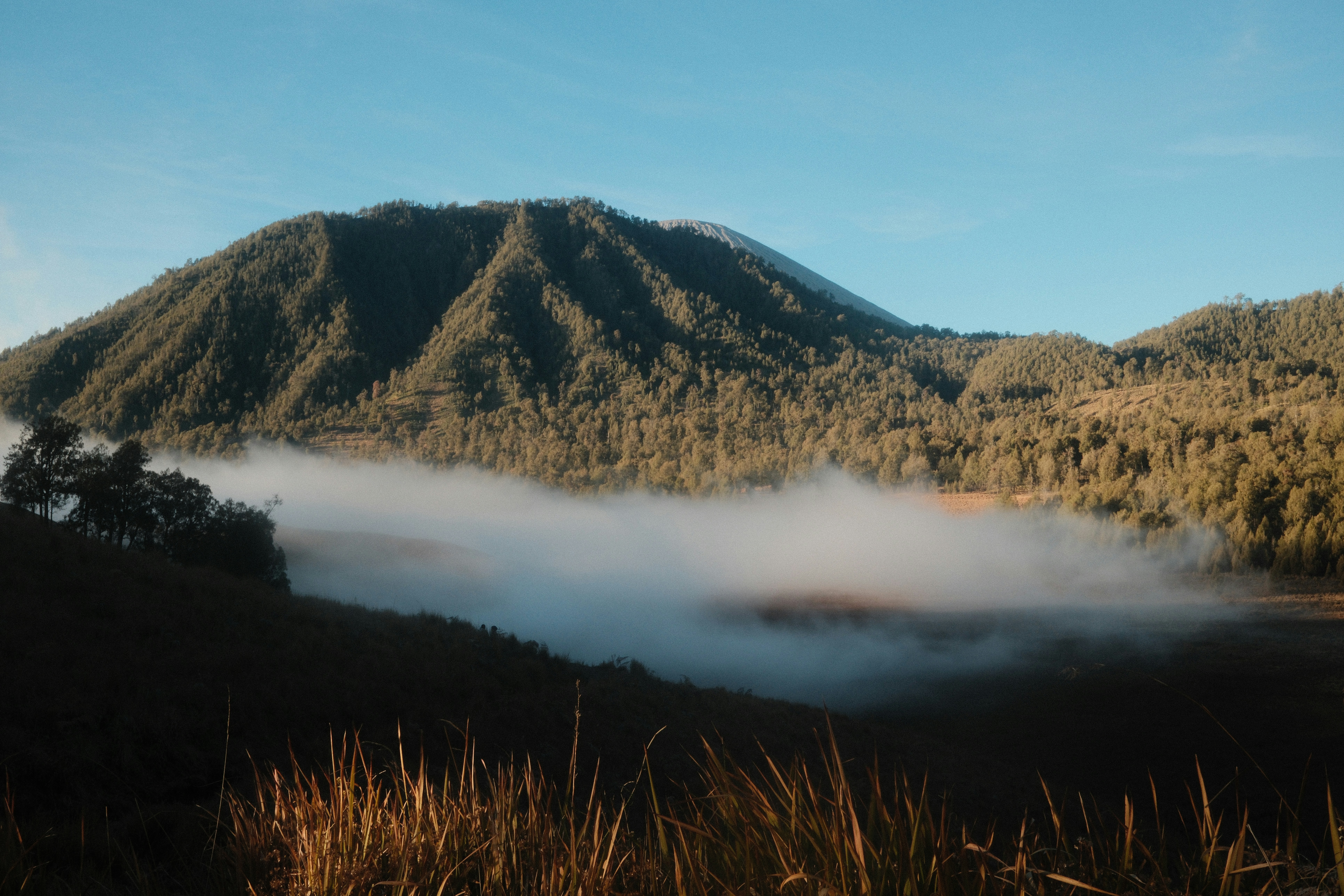 Mist over the Valley: A Dawn in the Hills