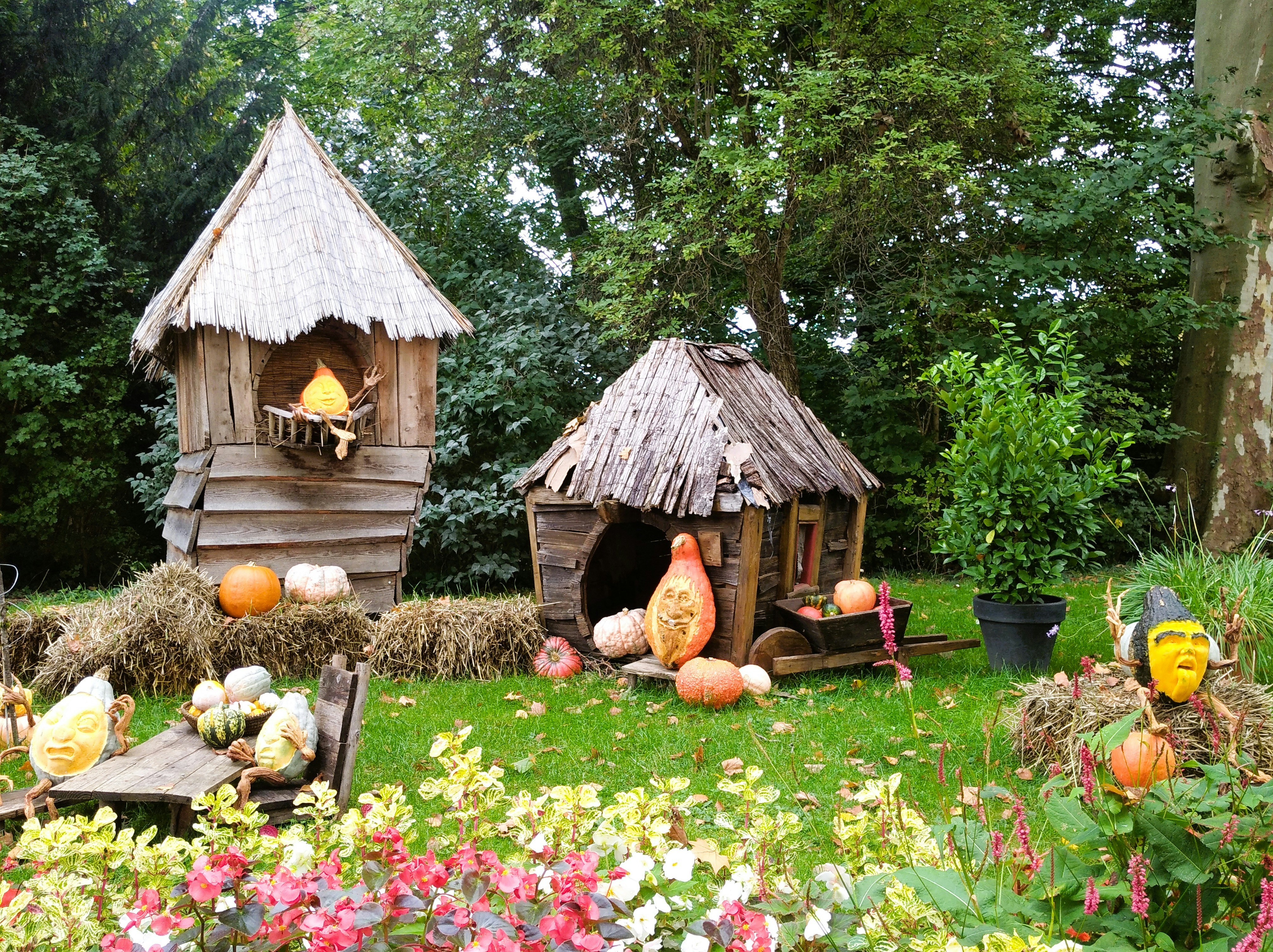 Pumpkin Parade by the Garden Cabins