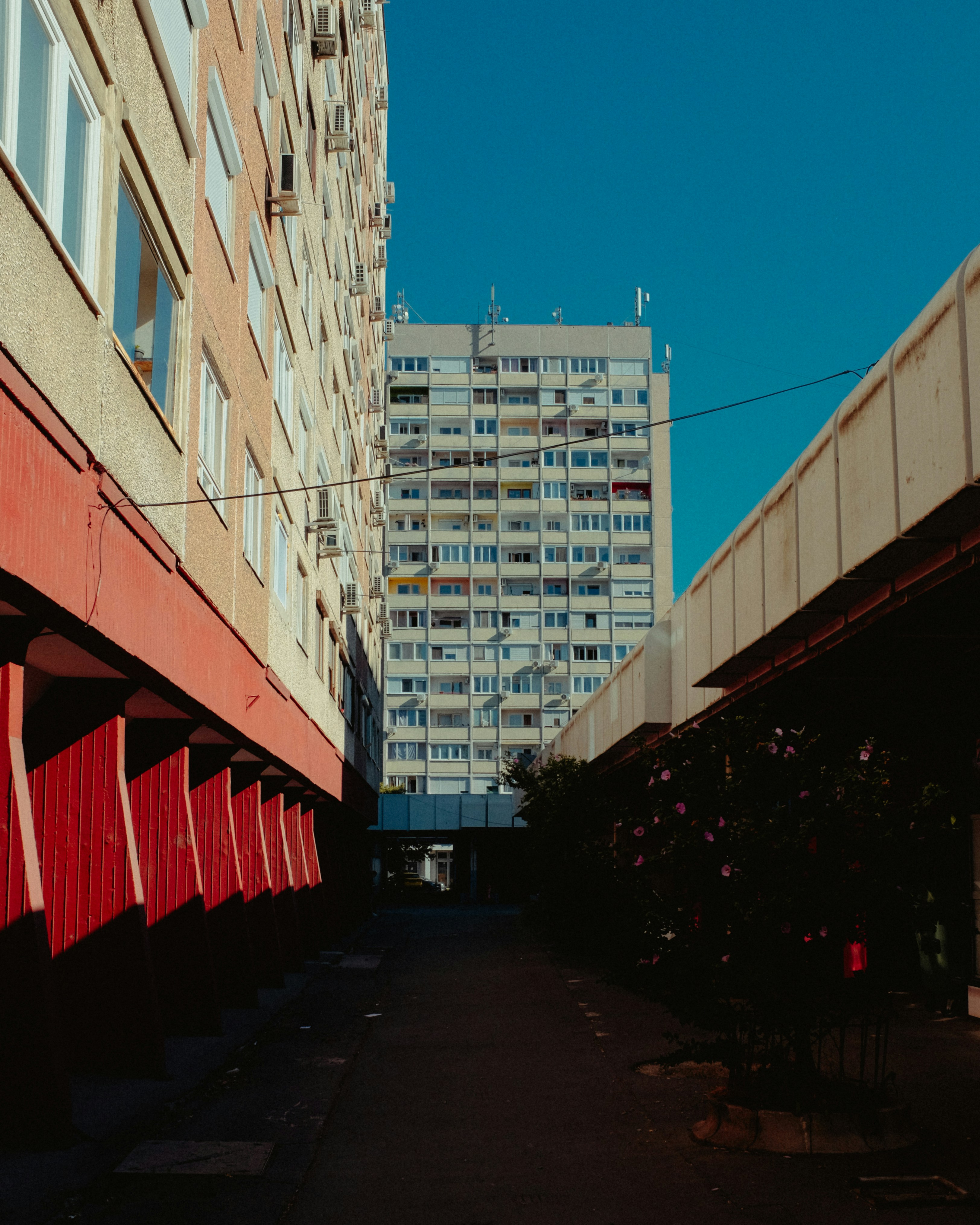 Urban Corridor Toward the Sky