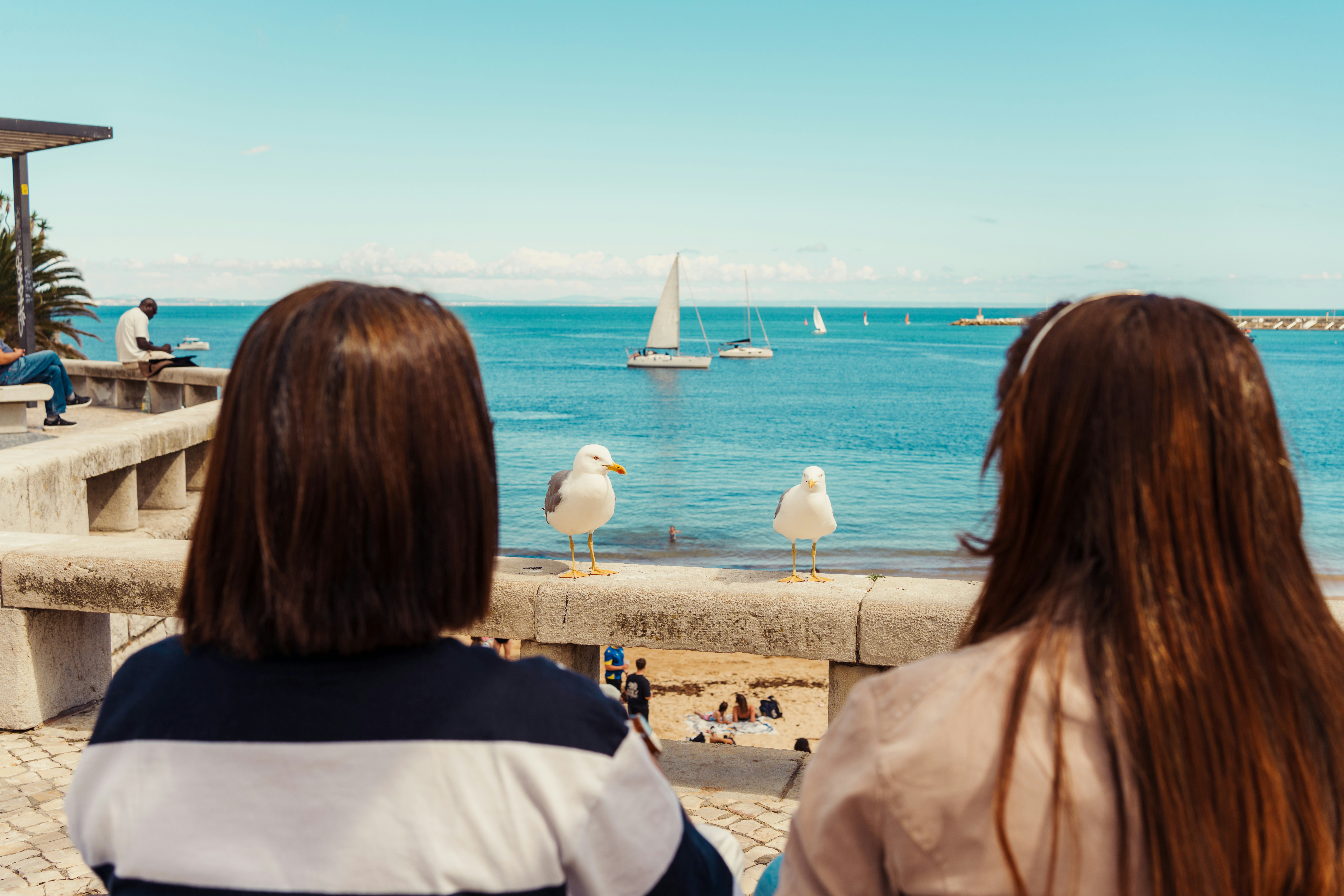 Seaside View from the Beachfront: Two observers with seagulls and yachts off the pier