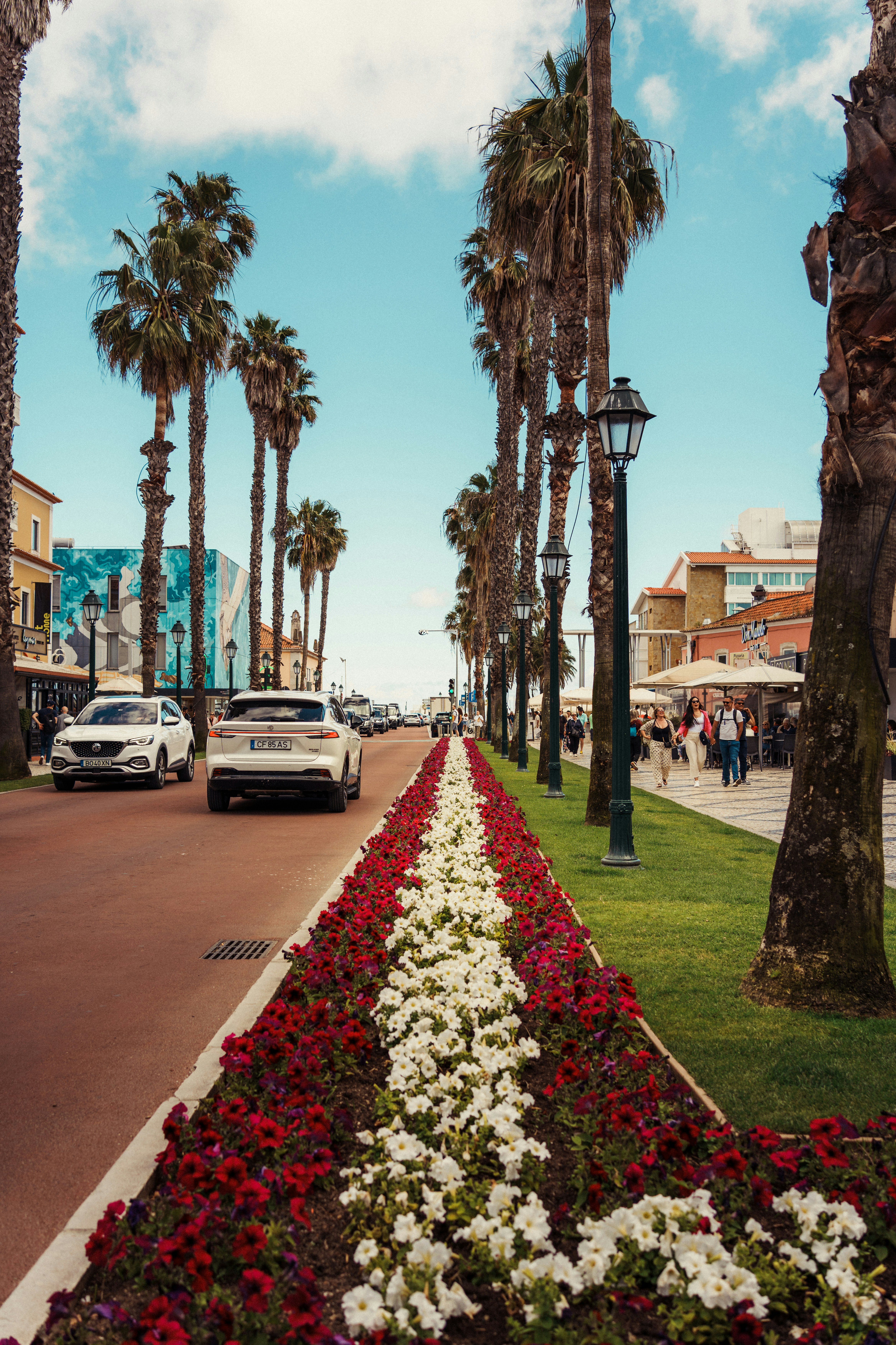 Palm-lined boulevard of color and motion