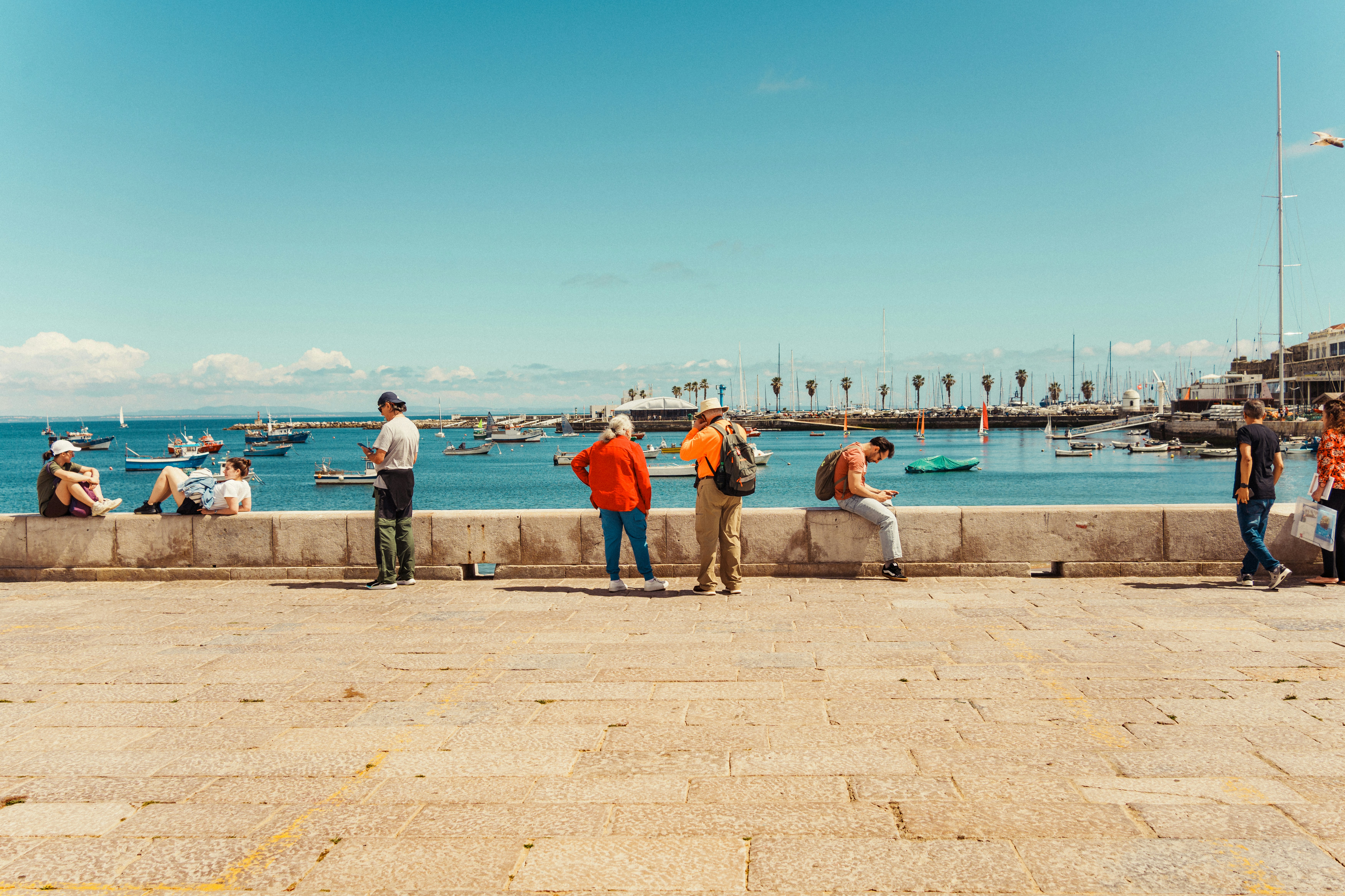 Harbor Promenade: a row of tourists along sunlit stone quay