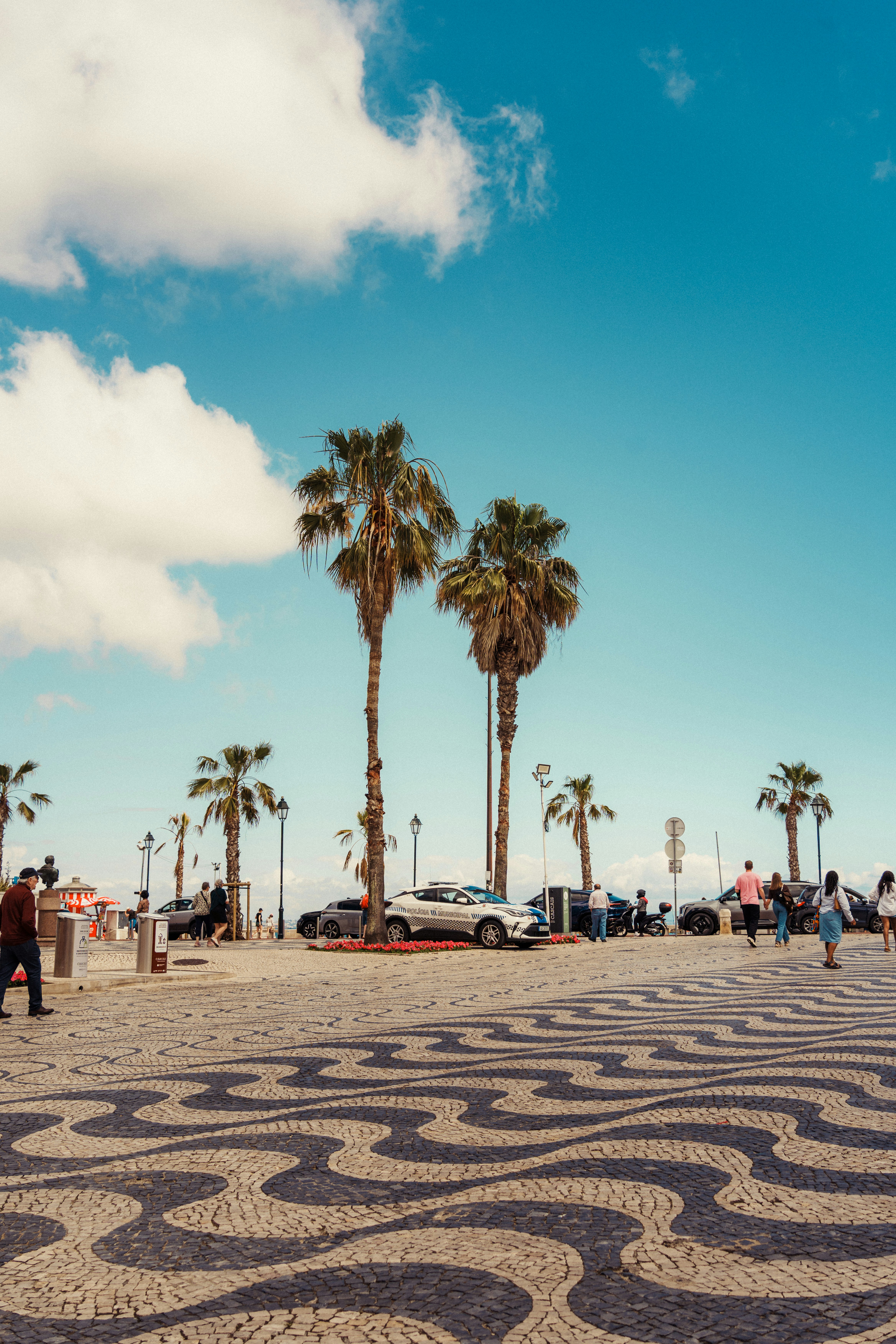 Palm Promenade Under a Clear Coastal Sky