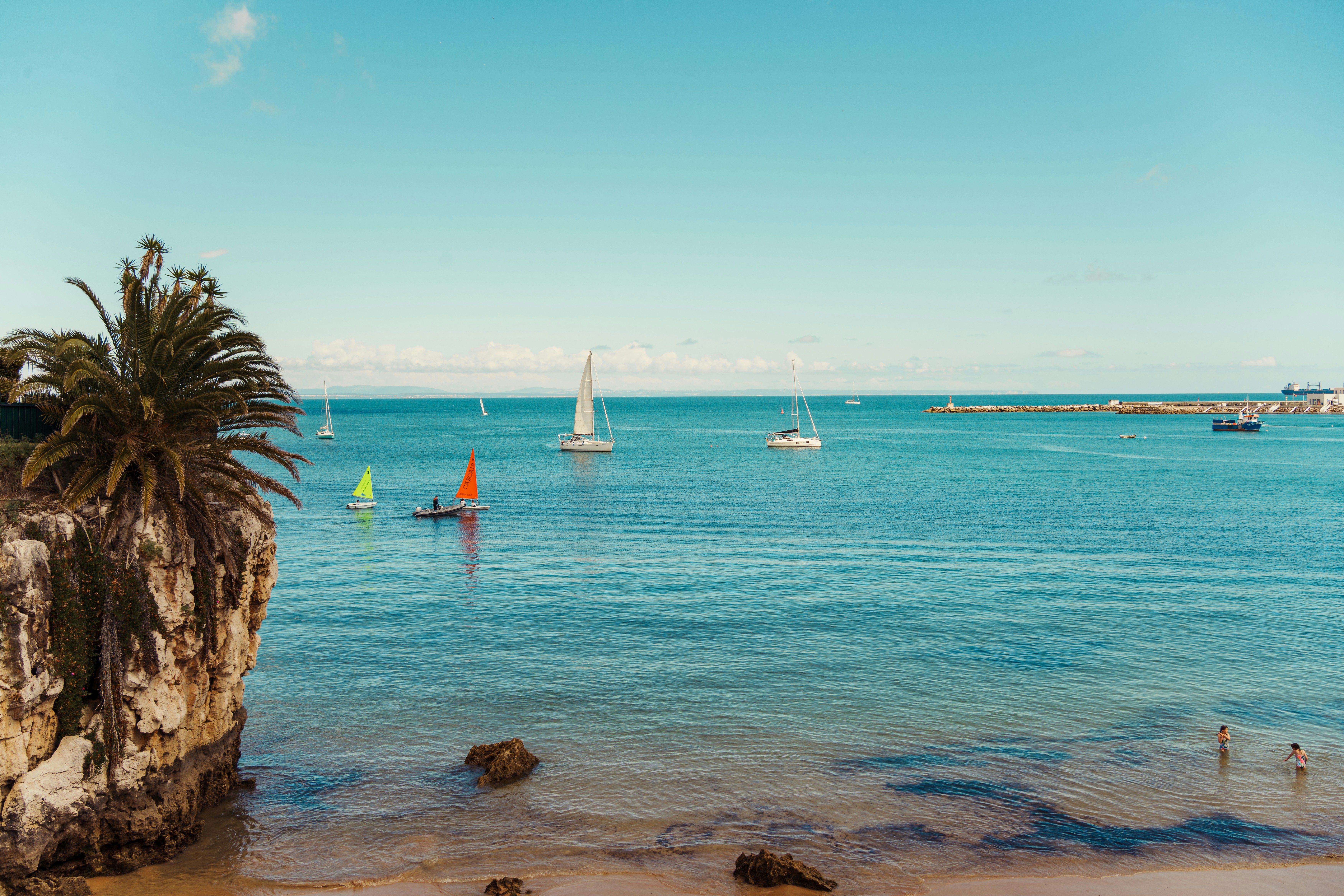Sunlit Costa: Sailors, Palm, and Quiet Sea
