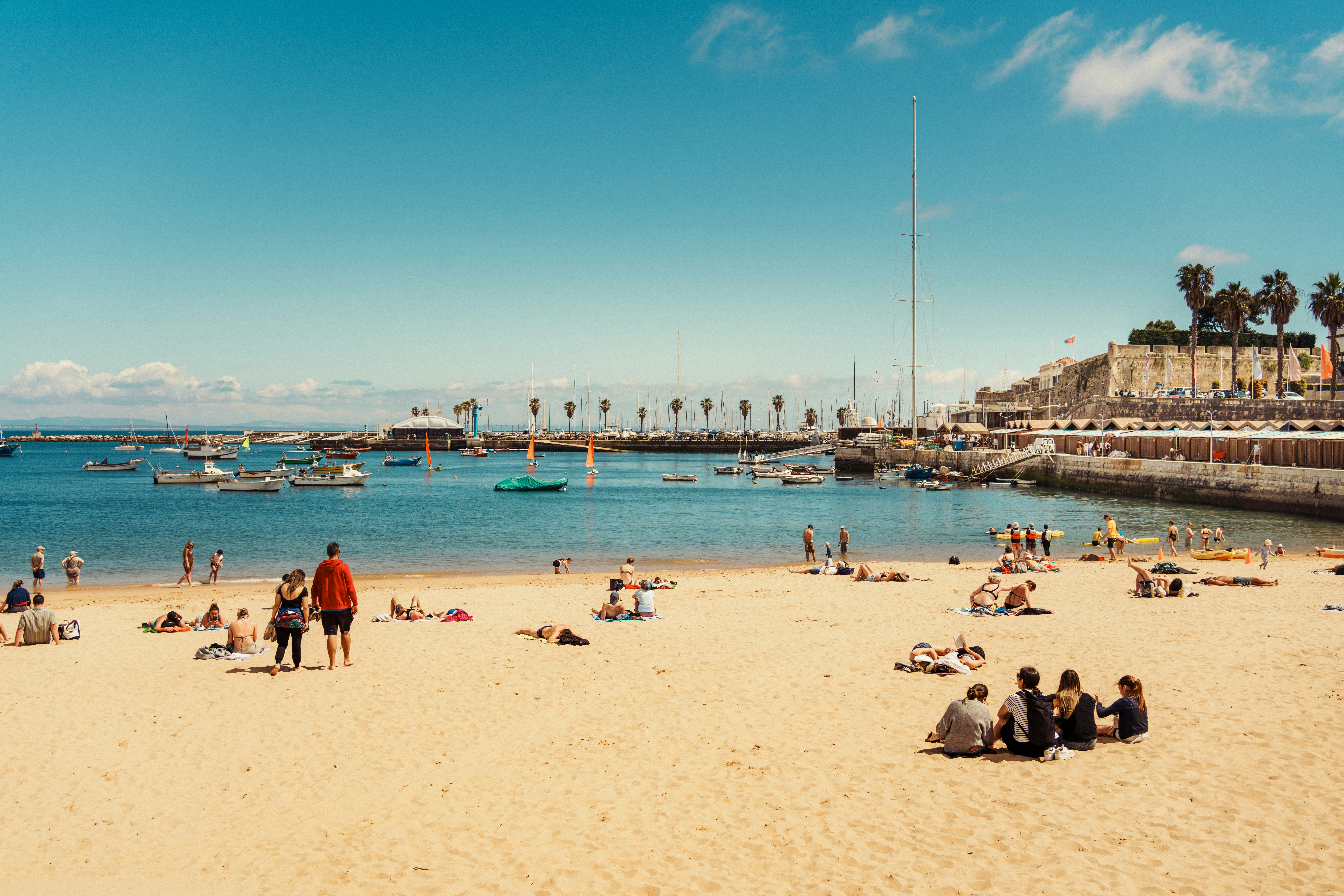 Sunlit Riviera: Sand, Sea, and Palm-Lined Quiet