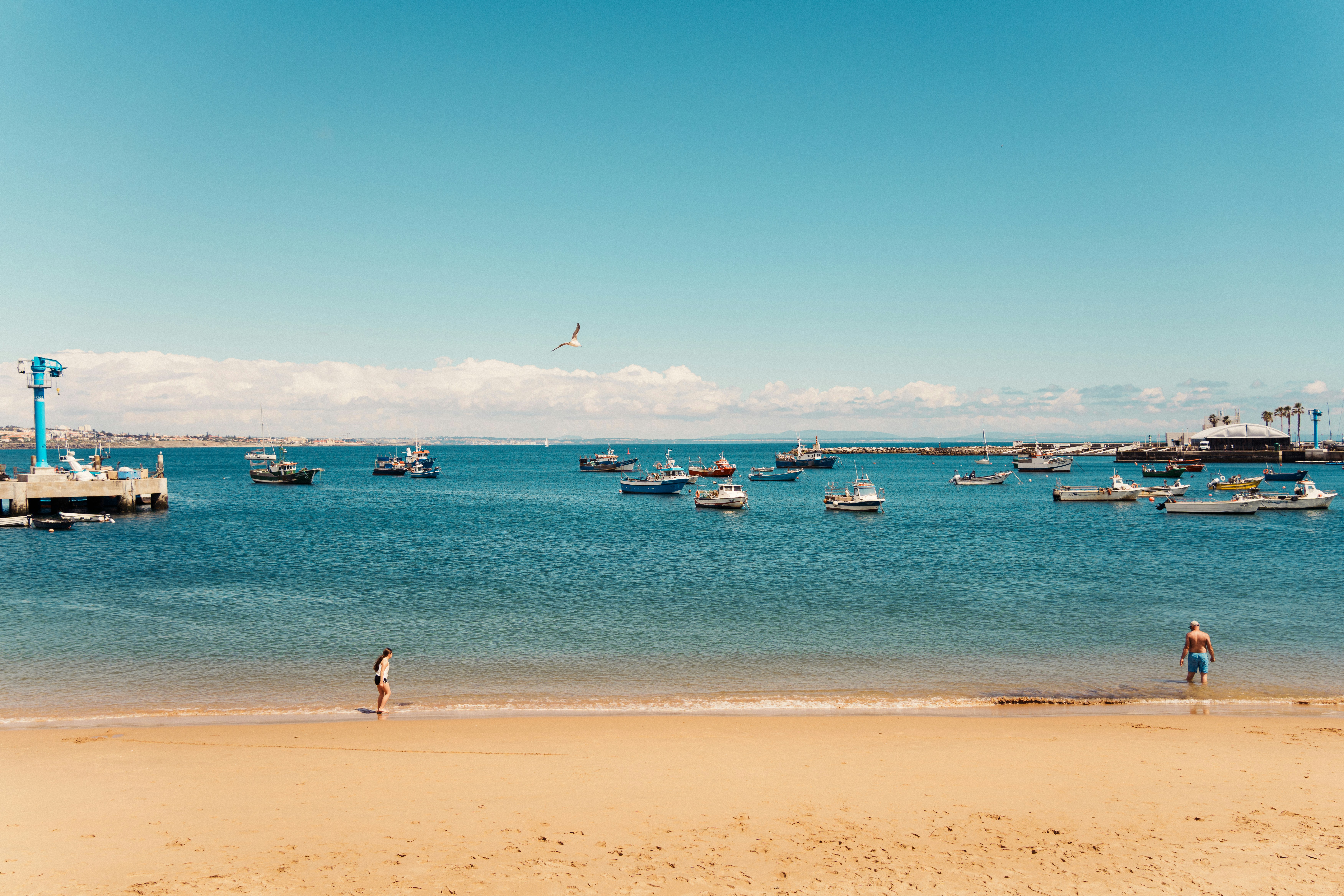 Harbor Horizon: Boats Rest at Dusk on a Quiet Seaside