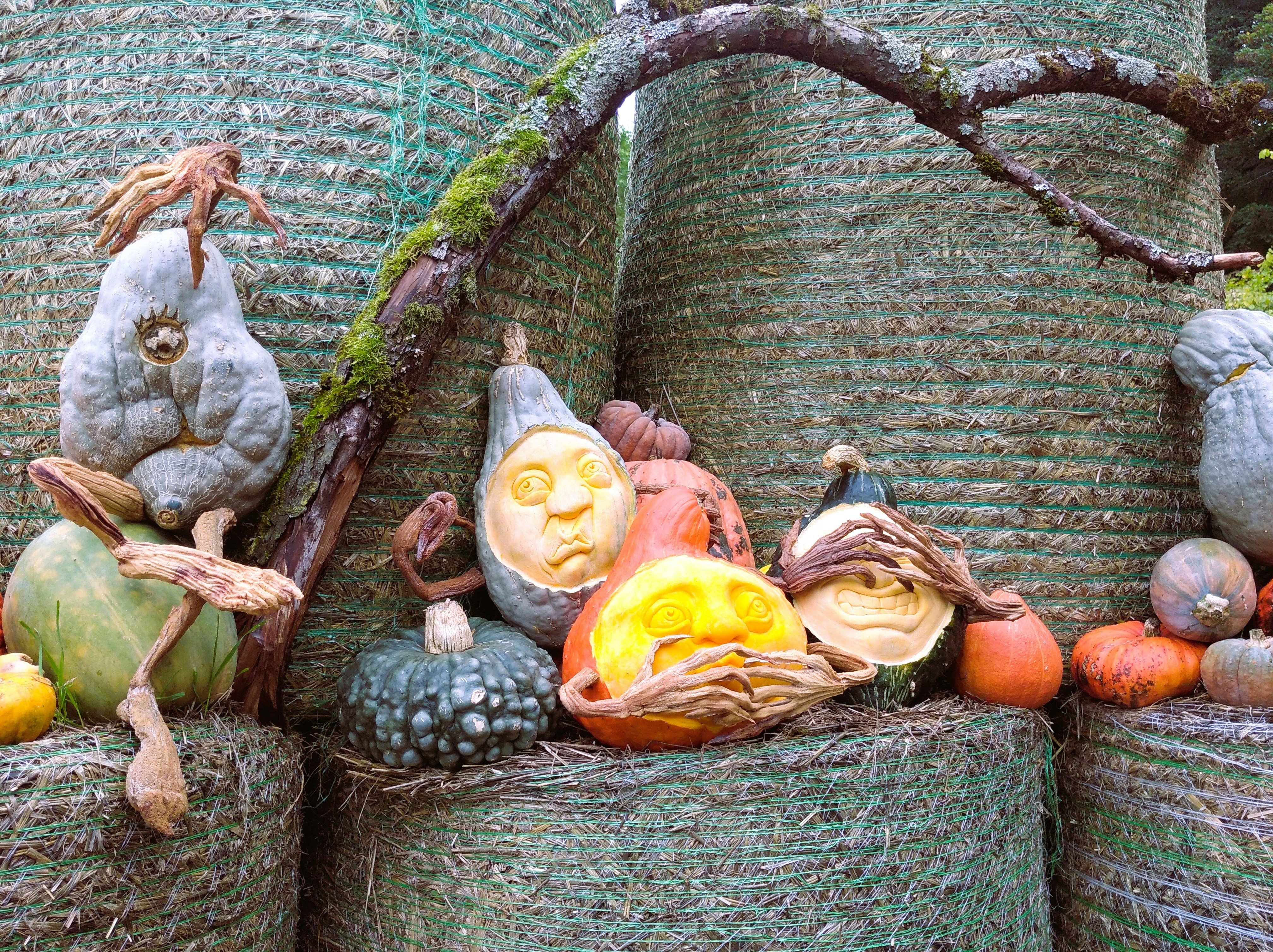 Faces in the Haystack: Carved pumpkins align with rustic gourds