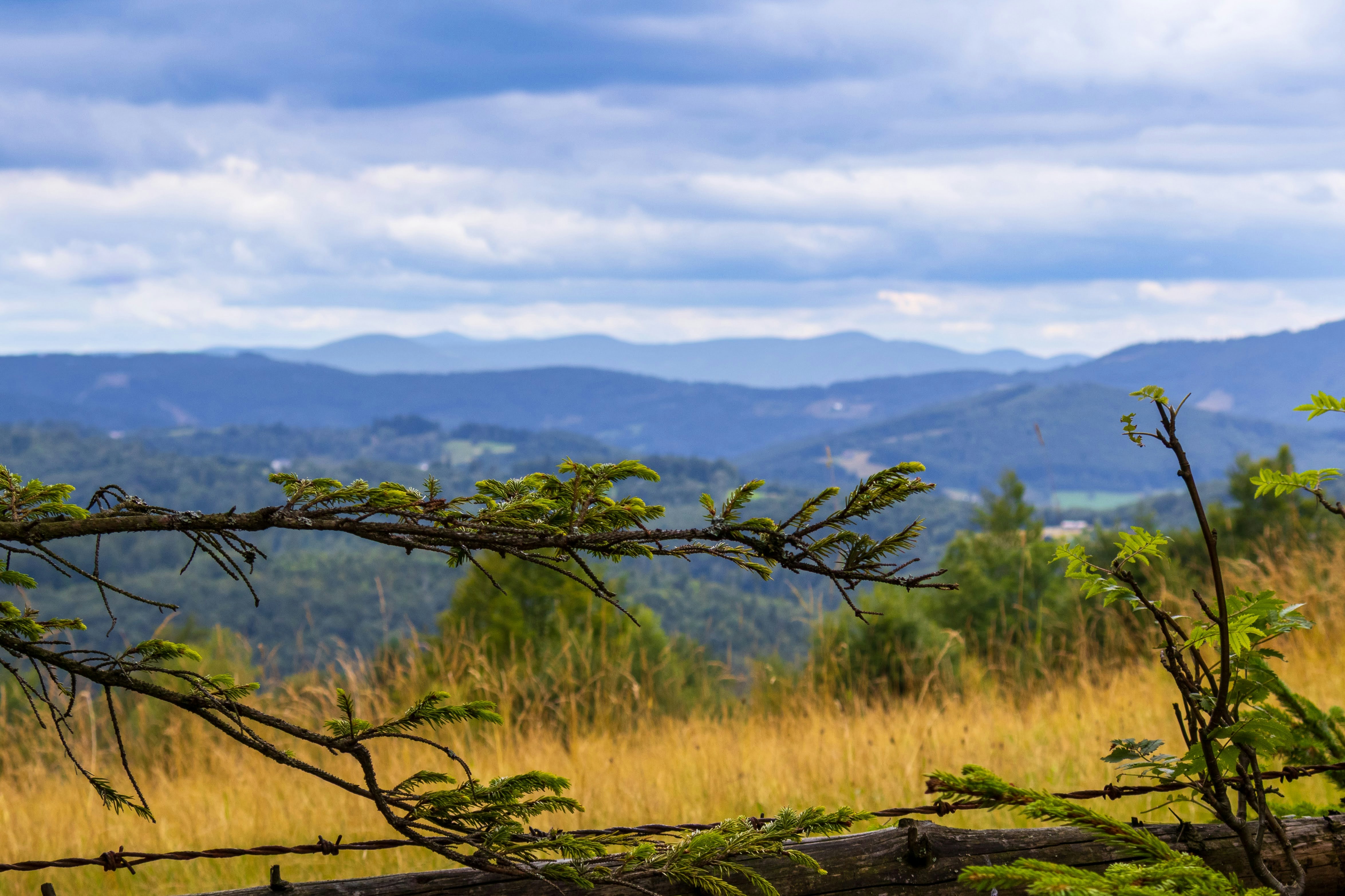 Sunlit meadow with a low wooden fence and thorny branches in the foreground; rolling hills and a blue mountain range fade into the distance beneath a layered, cloud-filled sky.