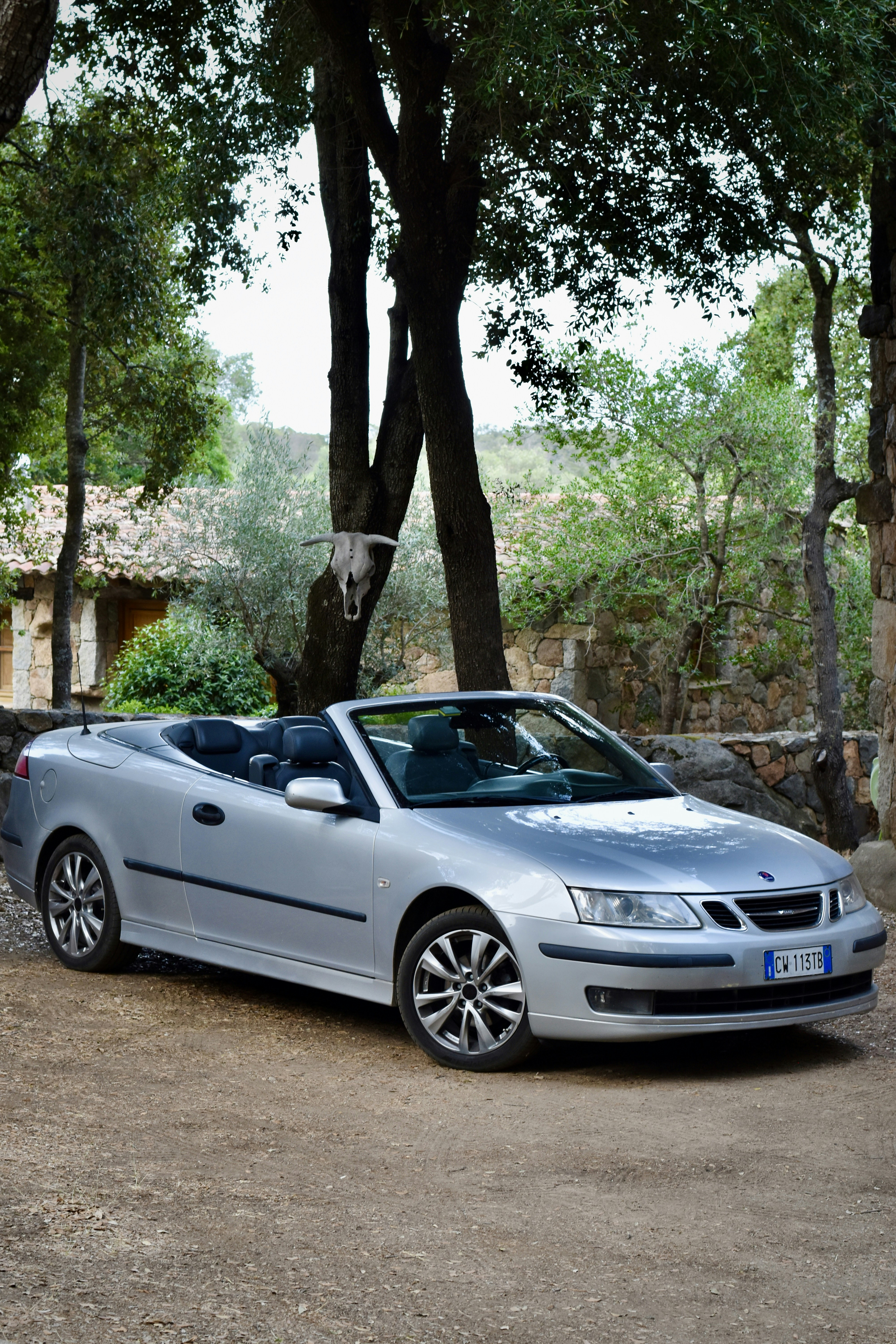 Silver Convertible Under the Orchard Canopy