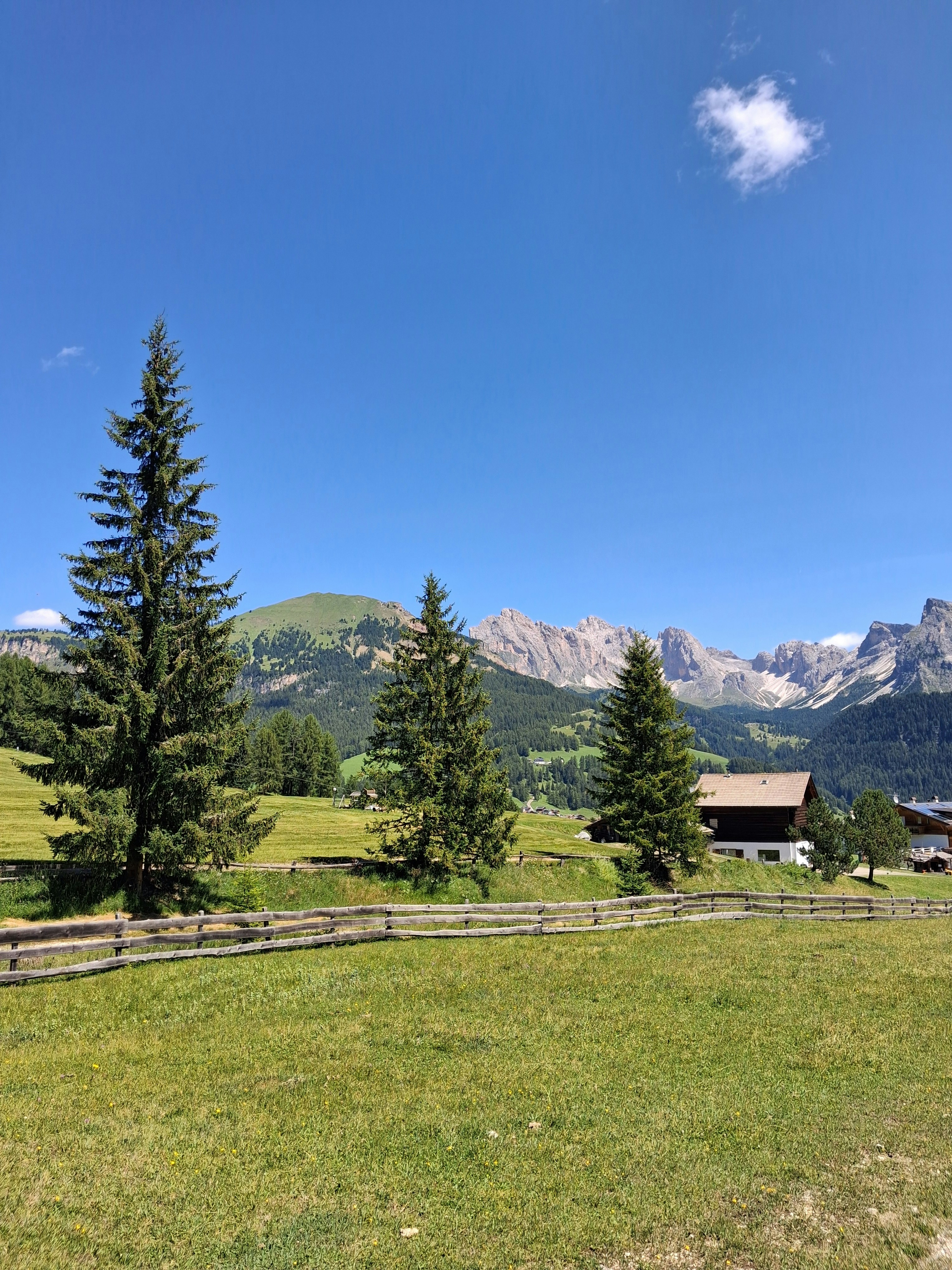 Pastoral Peaks: Alpine Meadow Beneath a Wide Blue Sky